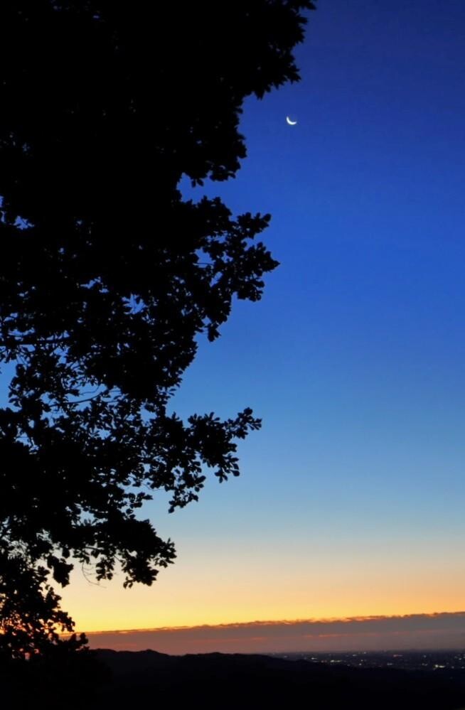 強風の朝 27分登頂 / ta2さんの鳴神山・吾妻山の活動日記 | YAMAP / ヤマップ