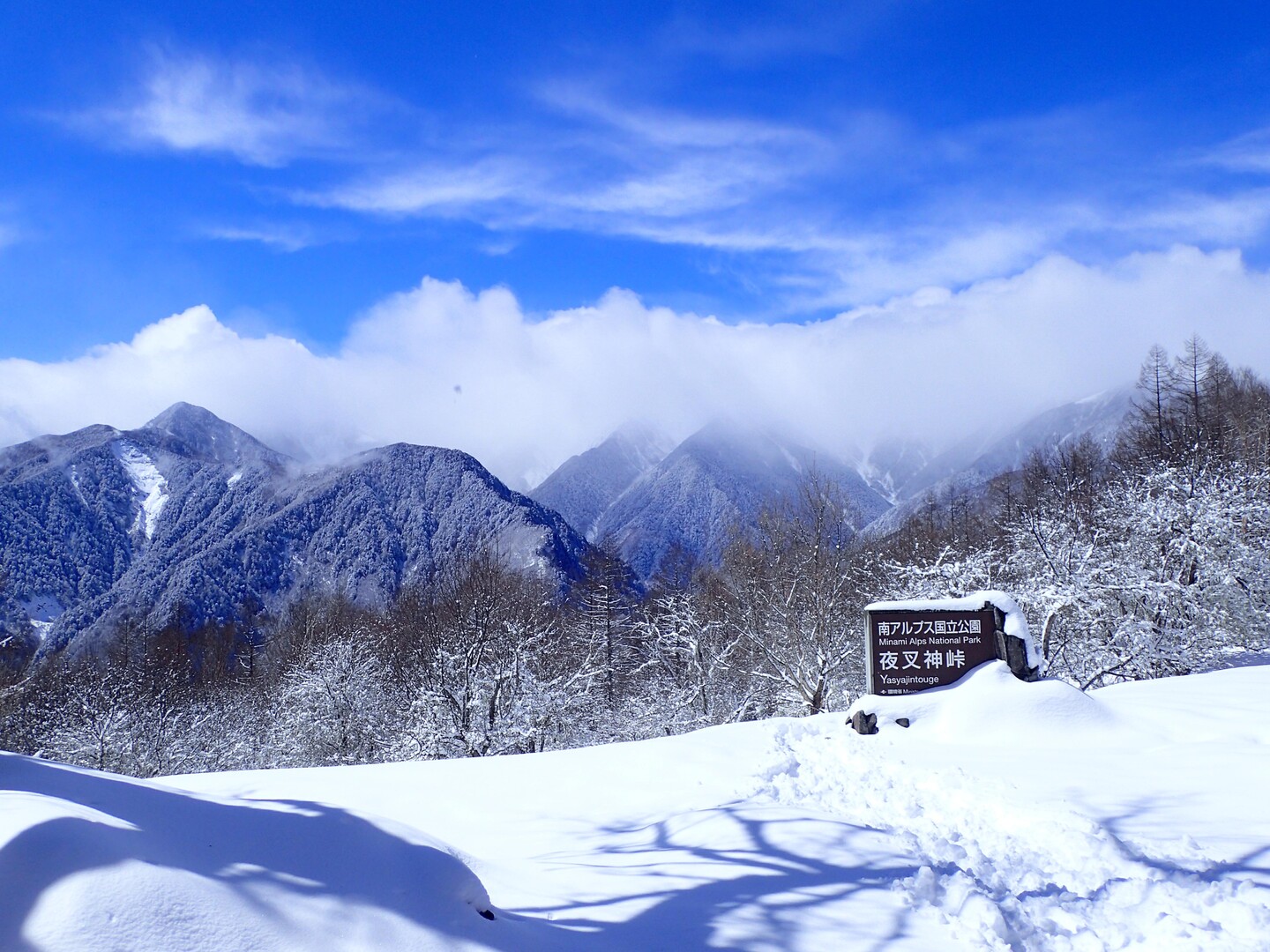 夜叉神峠～3月なのに雪！～ / ankamoさんの鳳凰山・地蔵岳・観音岳・薬師岳の活動データ | YAMAP / ヤマップ