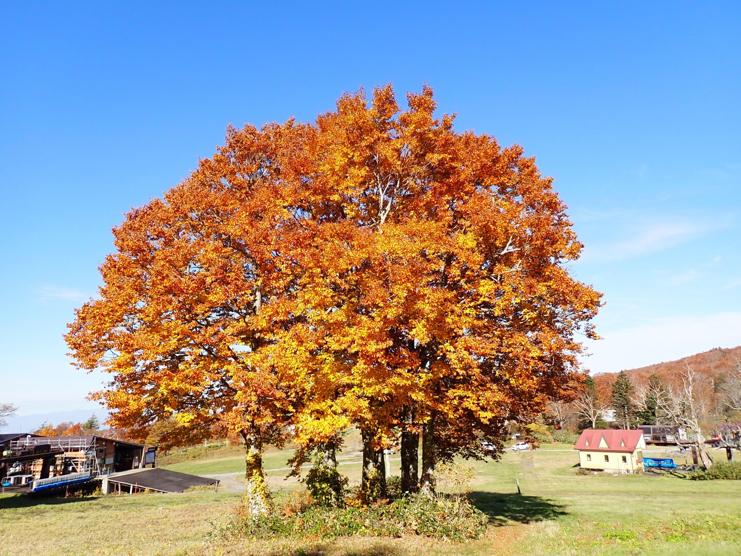 蔵王 ドッコ沼 / よちぼsevenさんの蔵王山・雁戸山・不忘山の活動データ | YAMAP / ヤマップ