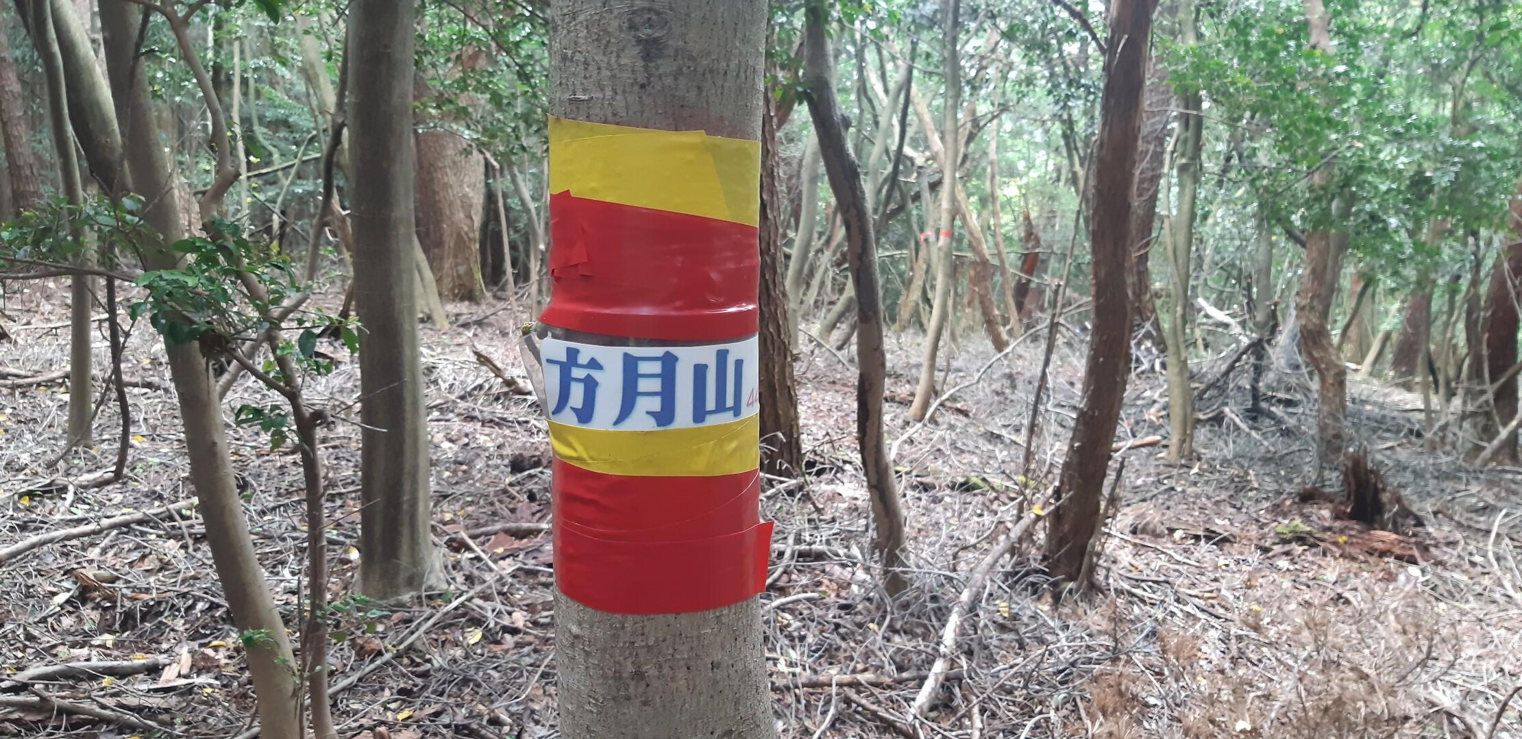 方月山 / taroさんの城山（妻木城跡）の活動データ | YAMAP / ヤマップ