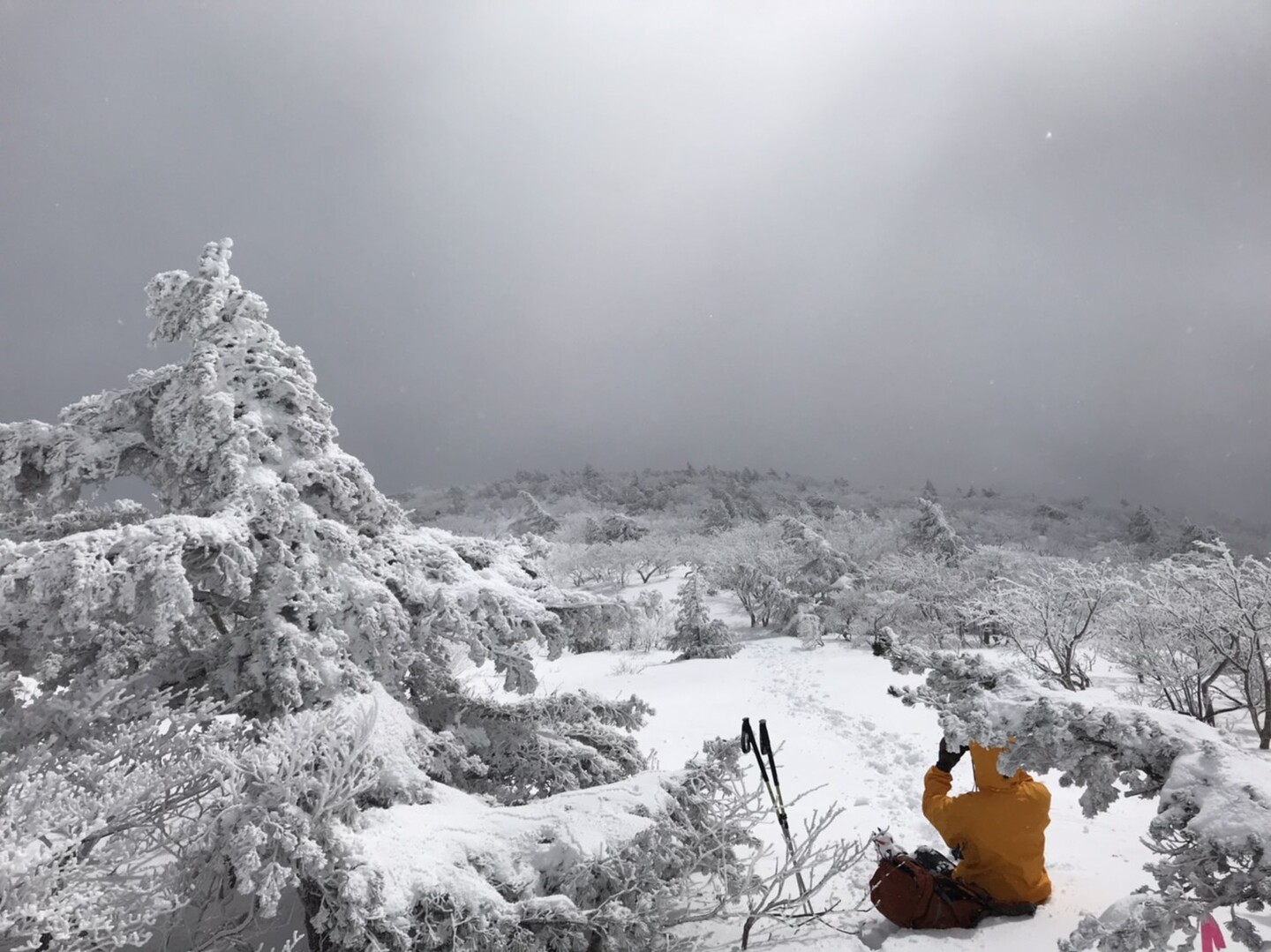 BEARのページ | YAMAP / ヤマップ