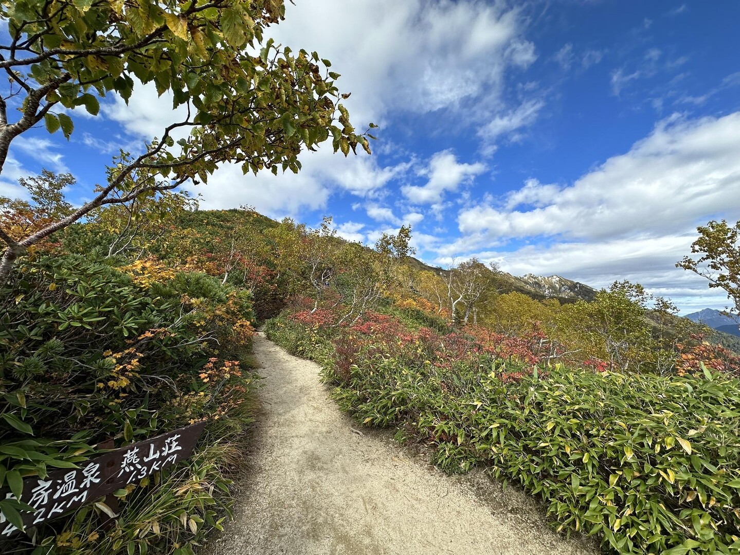 中房〜大天井岳 / sueさんの常念岳・大天井岳・燕岳の活動データ | YAMAP / ヤマップ