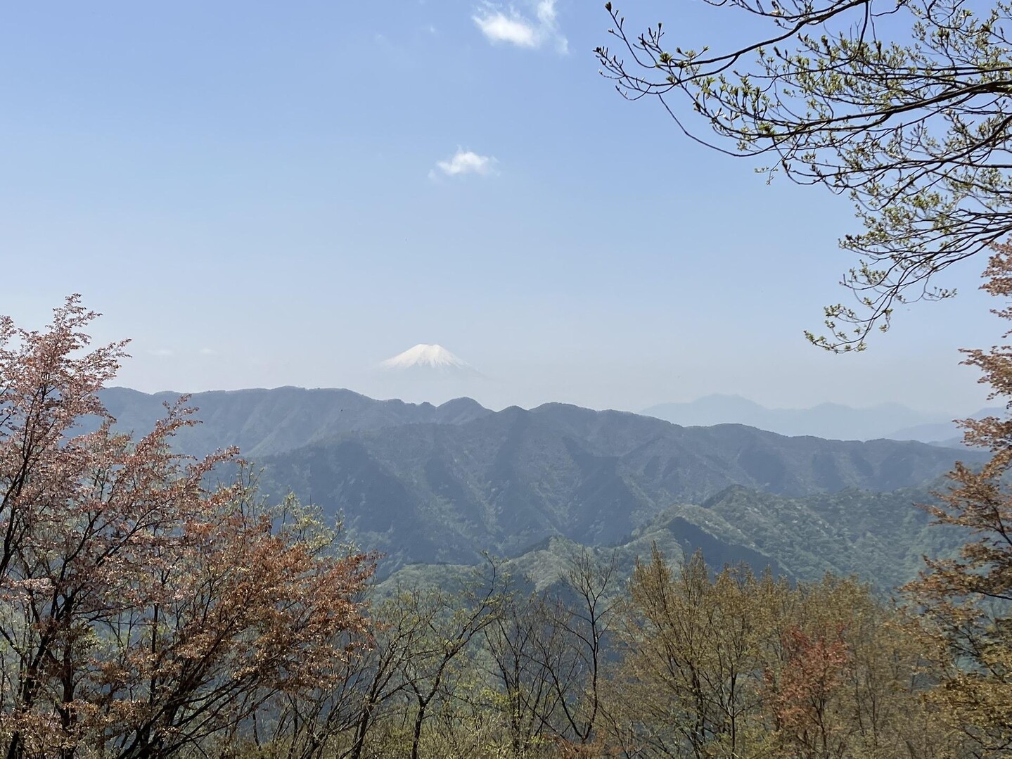 笹尾根・槇寄山 / ROMIさんの浅間嶺・松生山の活動データ | YAMAP / ヤマップ