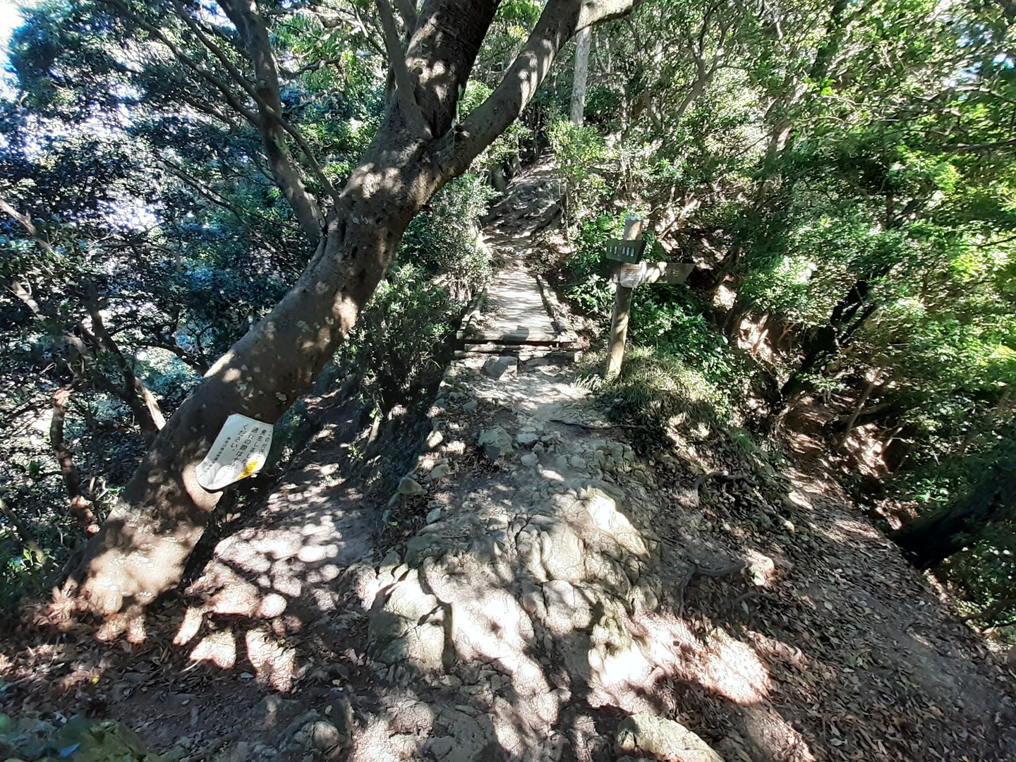 ko usさんの投稿したフィールドメモ | YAMAP / ヤマップ