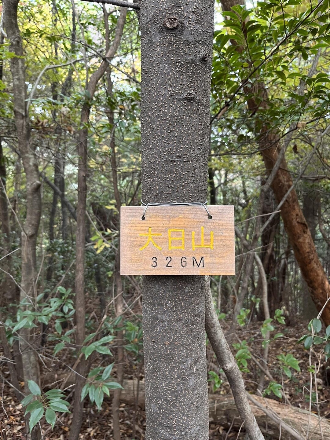 akiraさんの投稿したフィールドメモ | YAMAP / ヤマップ