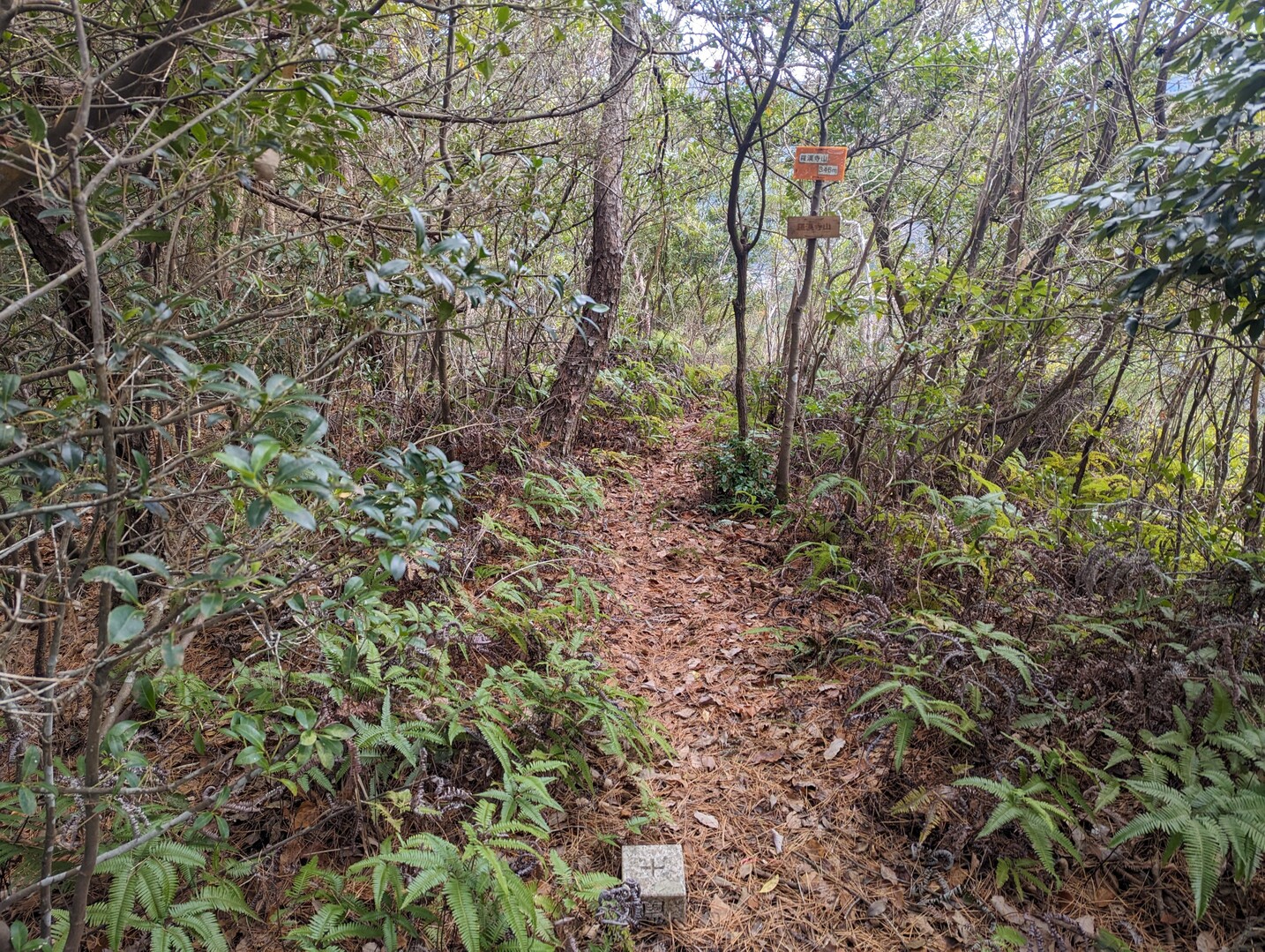 羅漢寺山・引塚 / QI-ZSさんの青の洞門・競秀峰の活動データ | YAMAP / ヤマップ