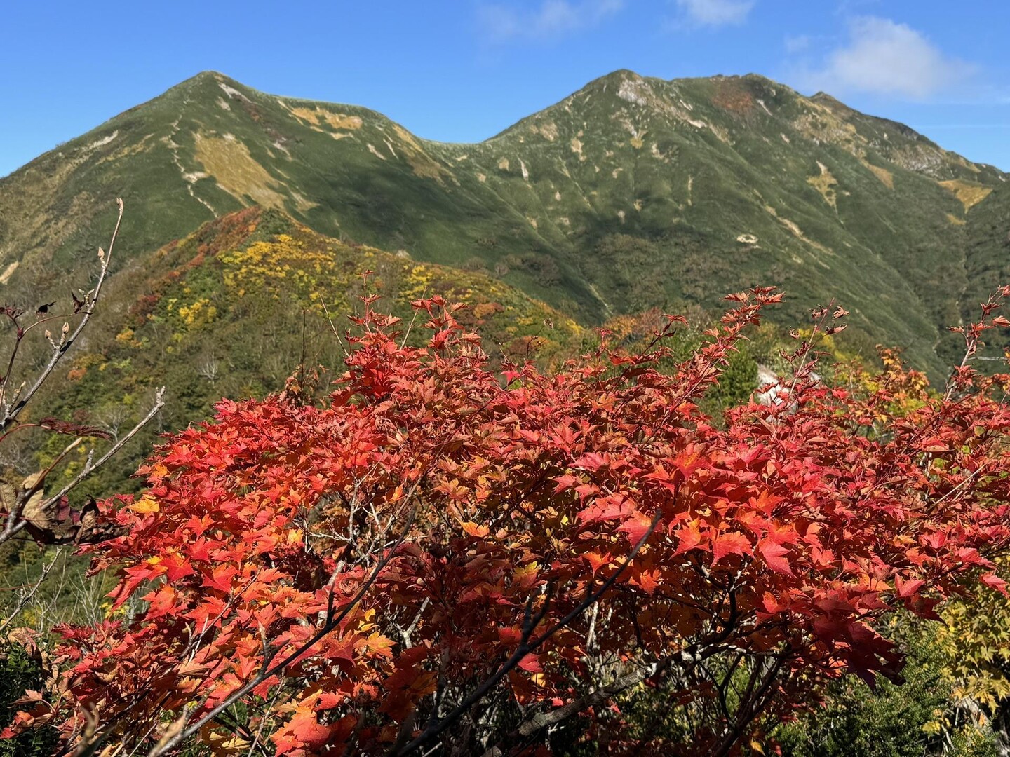 白毛門からの稜線は最高🥰 / LEOさんの谷川岳・七ツ小屋山・大源太山の活動データ | YAMAP / ヤマップ