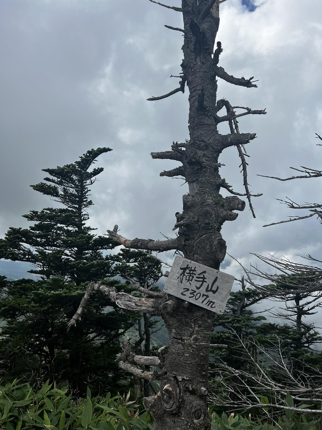 横手山 / MAYUPさんの横手山・志賀山・赤石山の活動日記 | YAMAP / ヤマップ