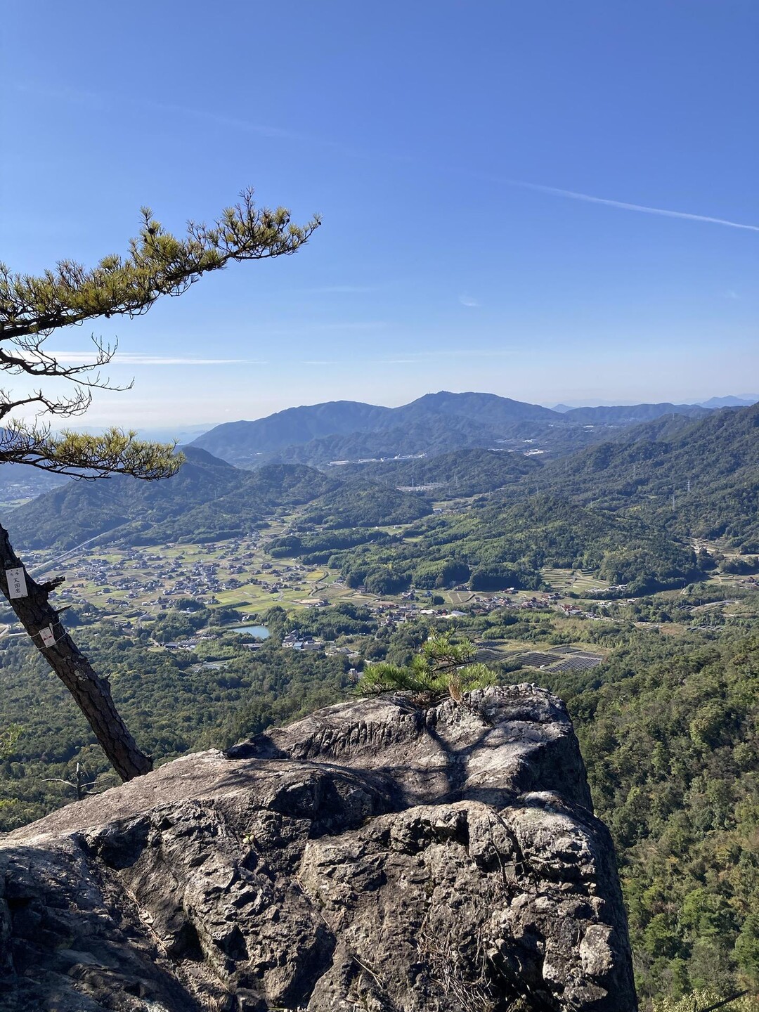 小田山-担ぎ上げていただいた物を整備してきました24.70 / カブさん(CUB主)さんの小田山の活動データ | YAMAP / ヤマップ