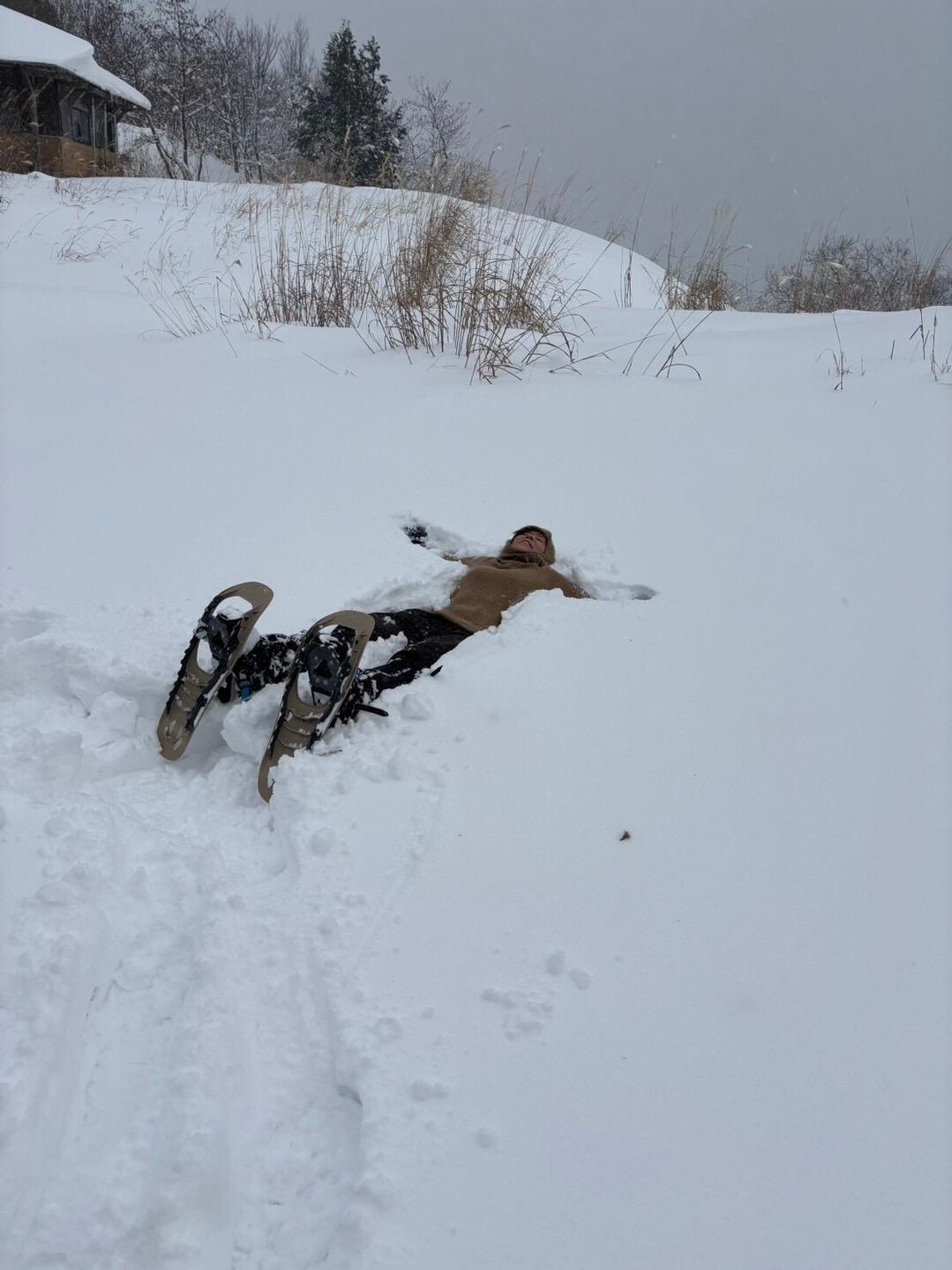 小貝月山 / susan（ヤマユウ）さんの貝月山の活動データ | YAMAP / ヤマップ