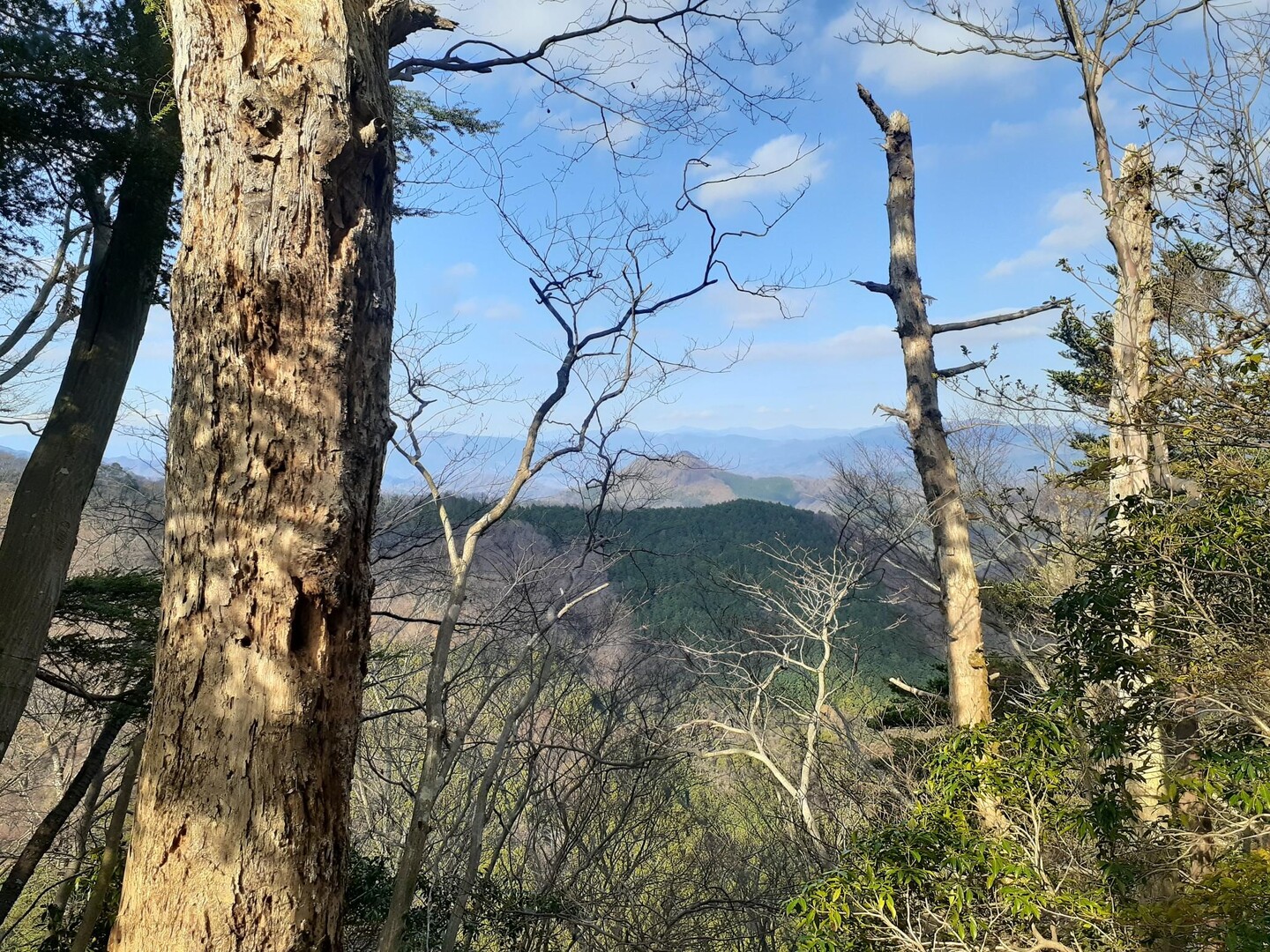 ko usさんの投稿したフィールドメモ | YAMAP / ヤマップ