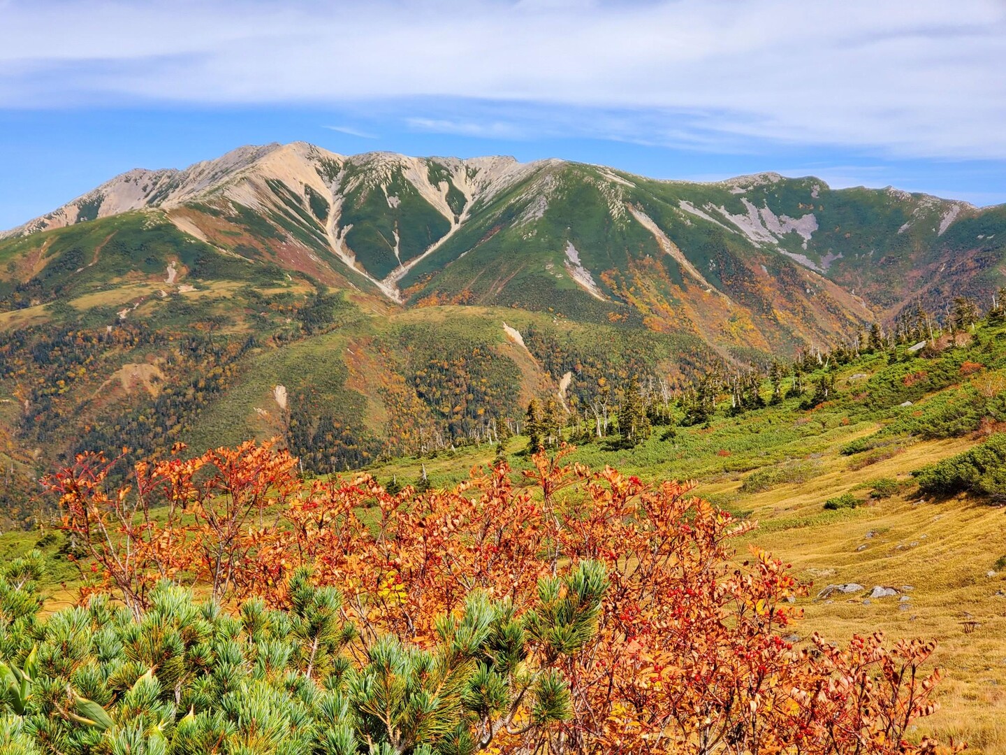 登山の日💓黒部五郎岳へ / 🍒sa-ki🍒さんの水晶岳・薬師岳・黒部五郎岳・鷲羽岳・三俣蓮華岳・湯俣の活動データ | YAMAP / ヤマップ