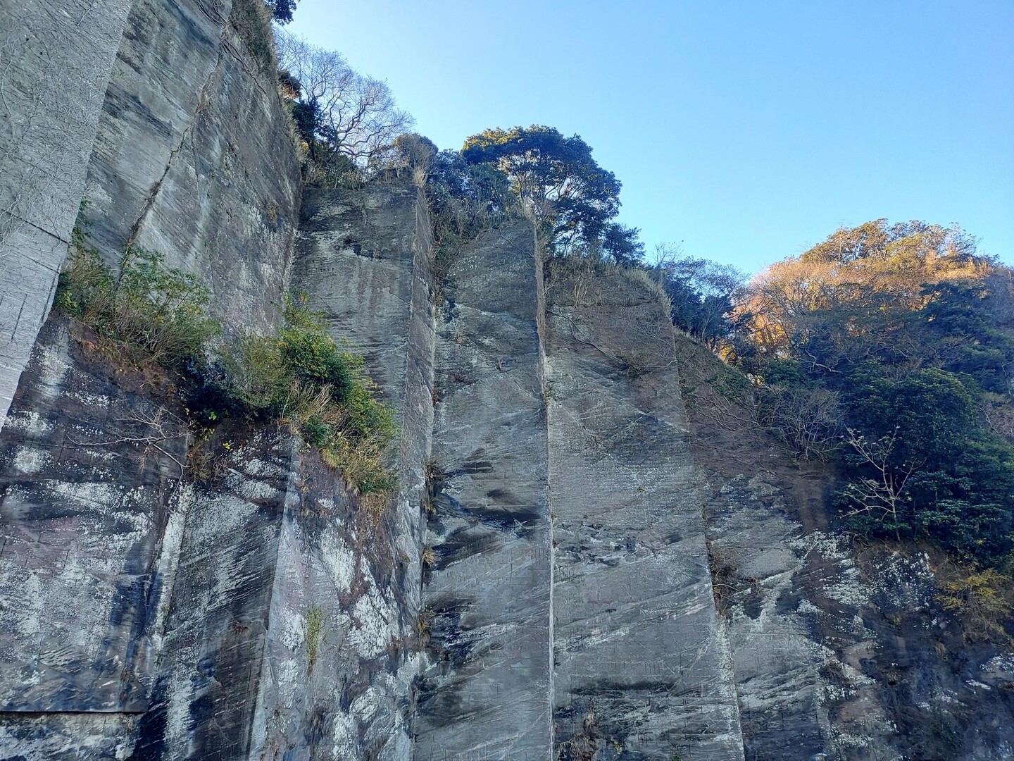 🪚鋸山🪚 / フェレさんの鋸山の活動データ | YAMAP / ヤマップ