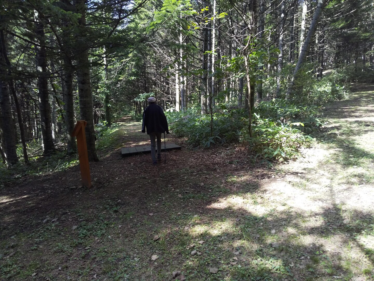 新嵐山・ウォーク＆ラン / AKKIさんの新嵐山の活動データ | YAMAP / ヤマップ