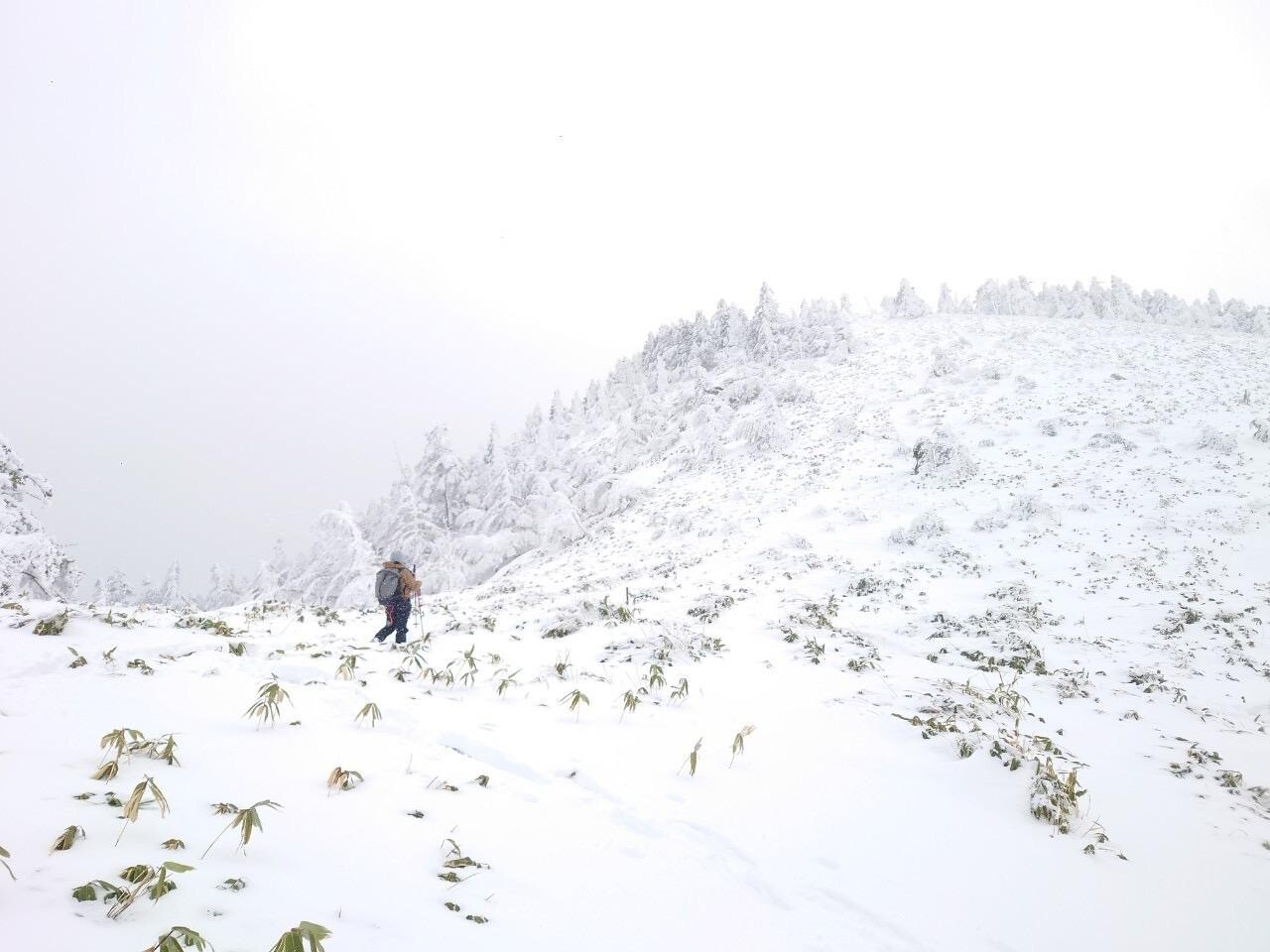 富士見台・神坂山 / R→zeroさんの恵那山・大判山・神坂山の活動日記 | YAMAP / ヤマップ