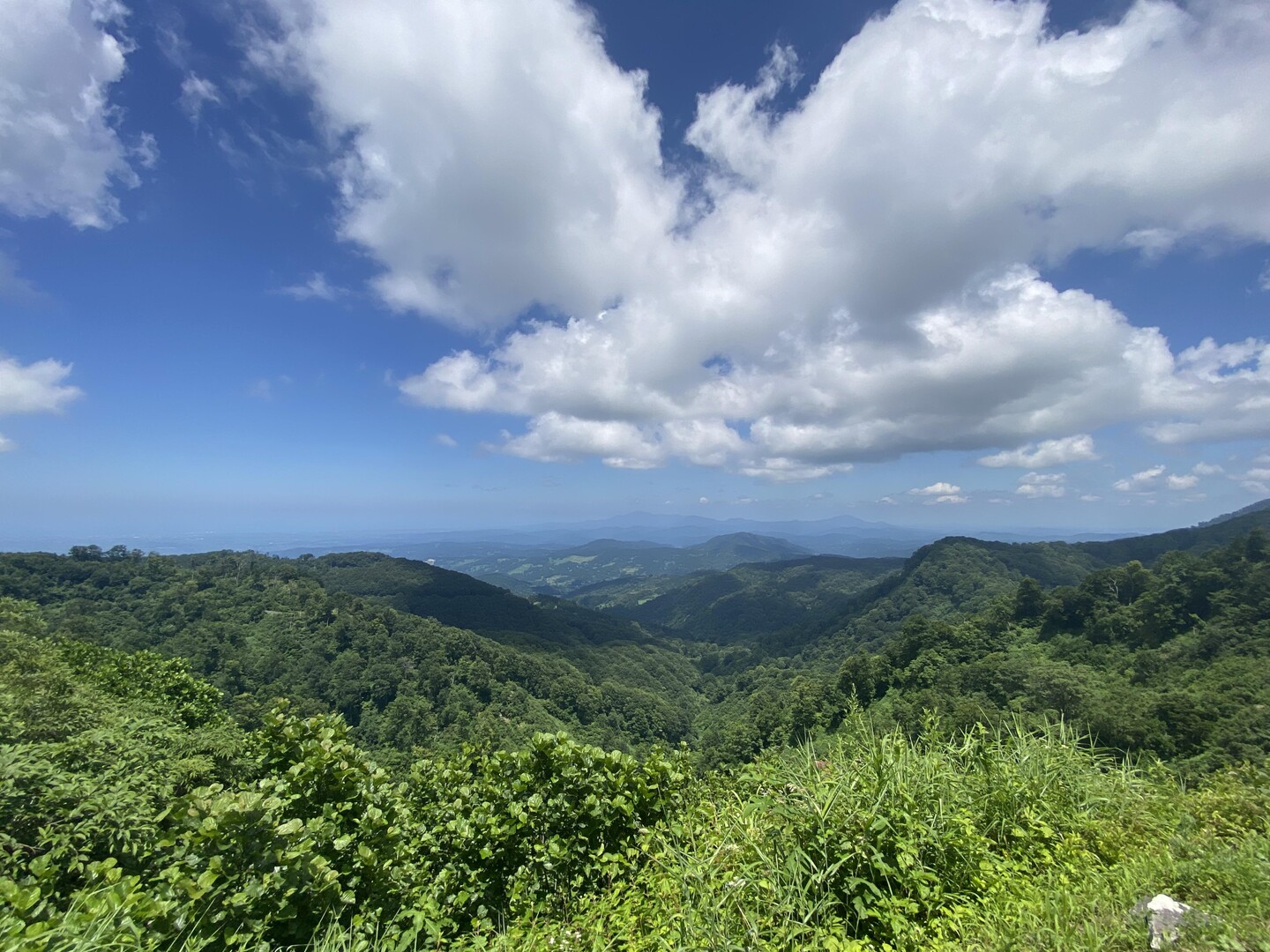 毛無山・黒岩山・鍋倉山・信越トレイル（赤池・希望湖・桂池・関田峠）-2023-07-17 / j-poohさんの毛無山・黒岩山・鍋倉山・信越トレイル（赤池・希望湖・桂池・関田峠）の活動データ ...