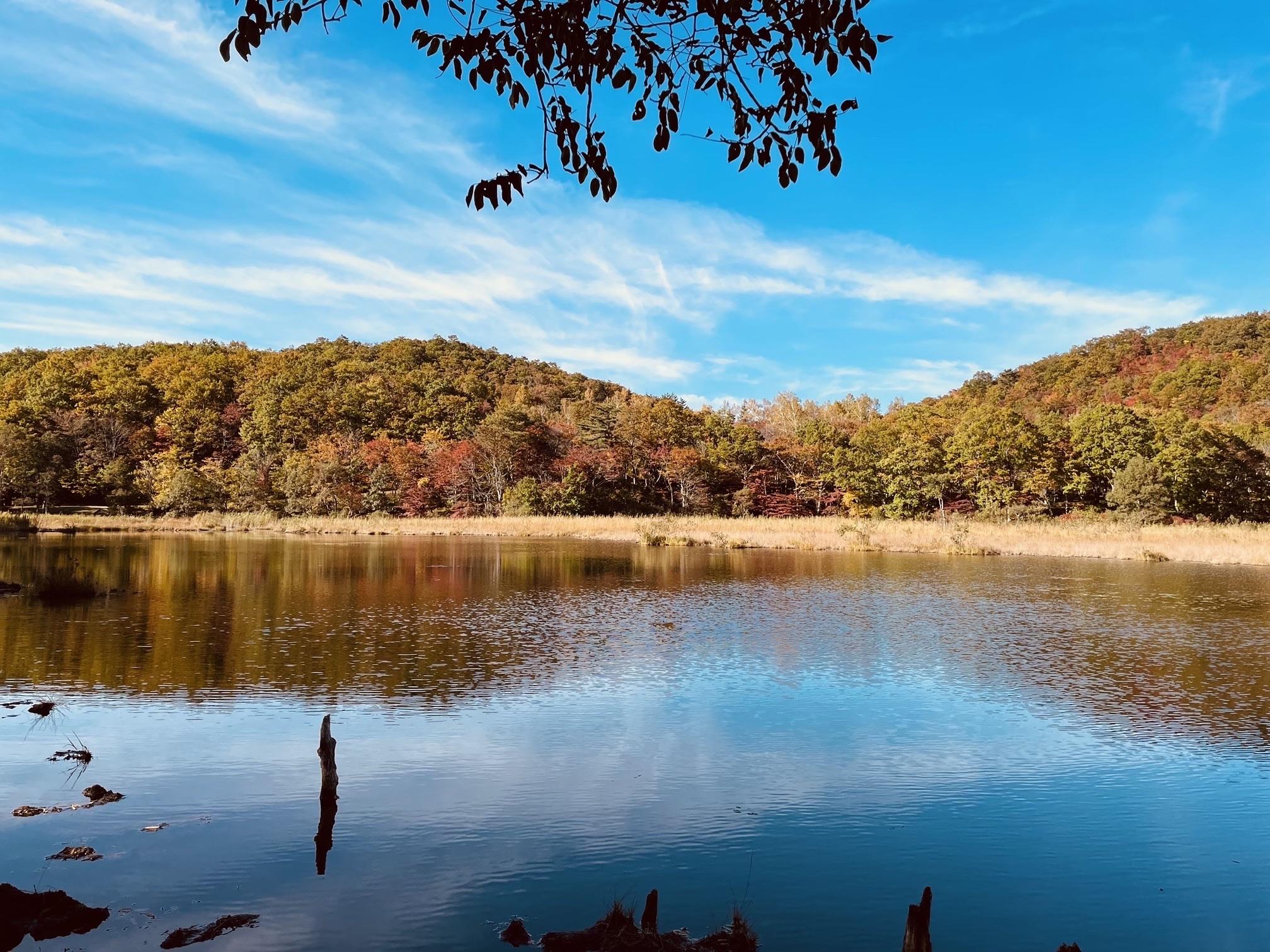 紅葉🍁の観音沼森林公園 / Ebiさんの二岐山・大白森山・小白森山の活動データ | YAMAP / ヤマップ