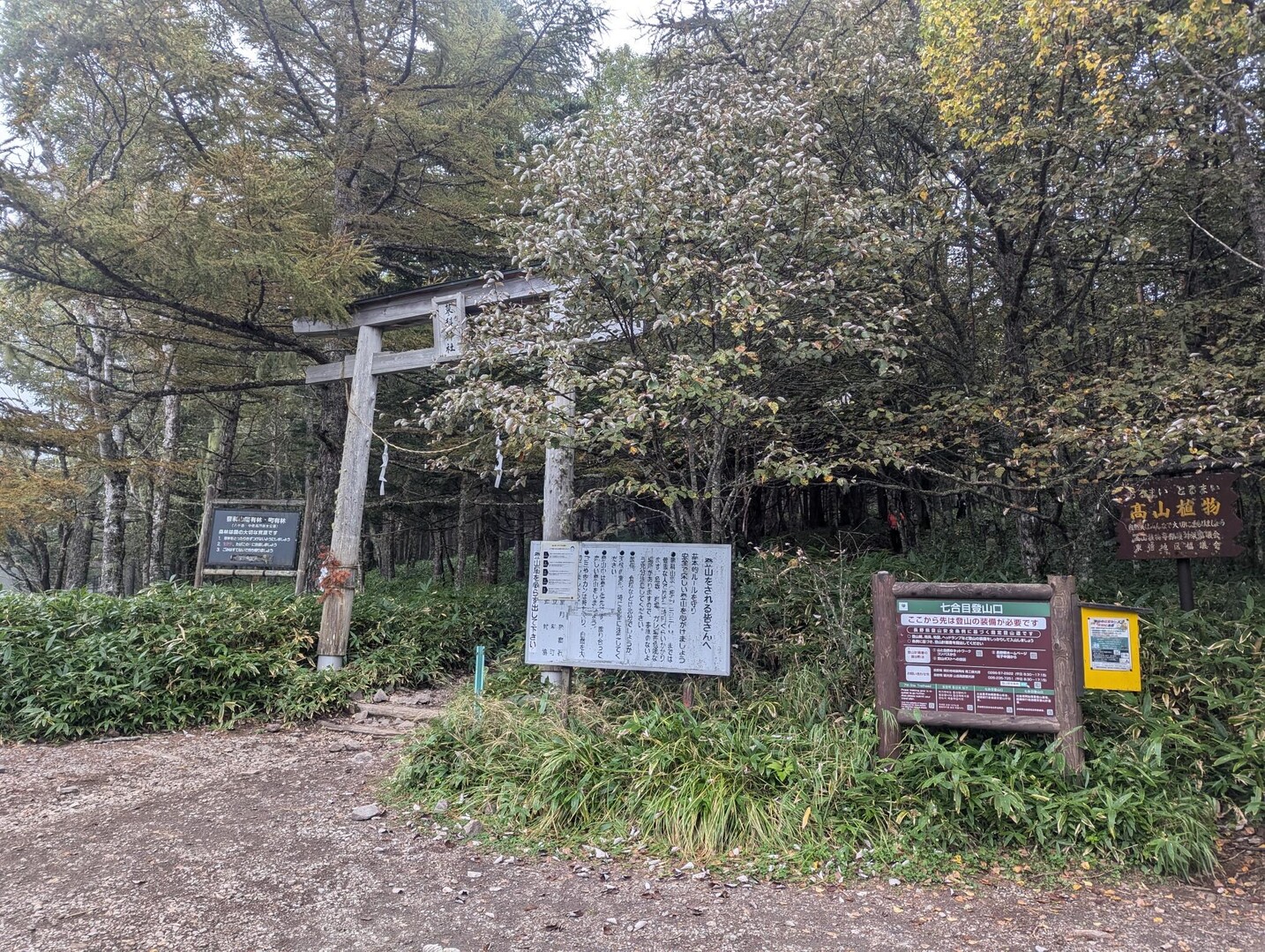 GOGO蓼科山 / ワンダーボーイさんの蓼科山・横岳・縞枯山の活動日記 | YAMAP / ヤマップ