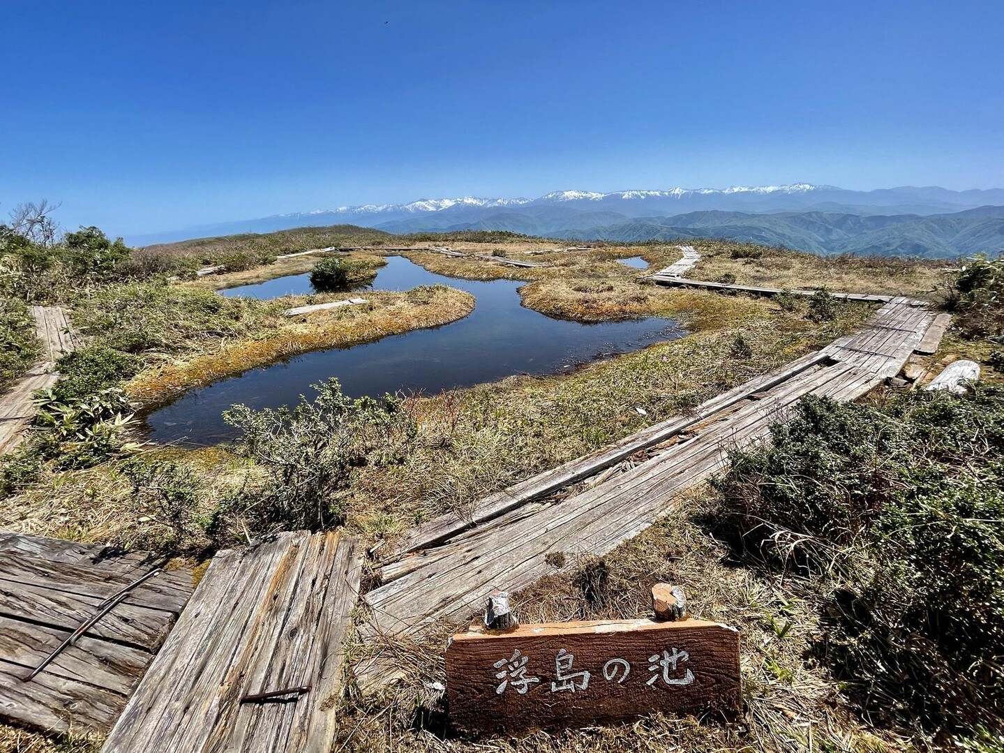 絶景と花に癒された1日😋白木峰・小白木峰周回 / Y45Uさんの白木峰・小白木峰の活動データ | YAMAP / ヤマップ