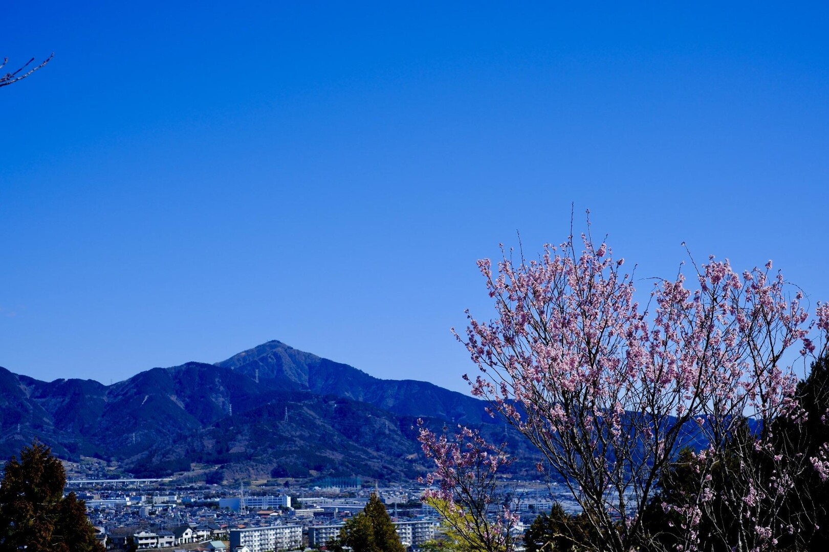 丹沢山塊を愛でに頭高山・八国見山 / sopaさんの八国見山・頭高山の活動データ | YAMAP / ヤマップ