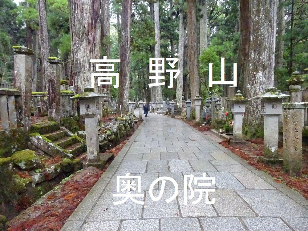 高野山・奥の院（高野山）-2023-11-13 / nm25さんの高野参詣道（高野山・楊柳山・雨引山）の活動データ | YAMAP / ヤマップ