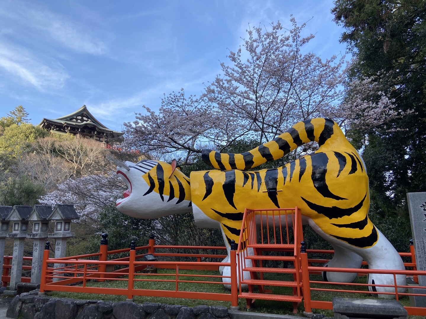 信貴山朝護孫子寺お参り 寅年に虎 信... / N’Sさんのモーメント | YAMAP / ヤマップ