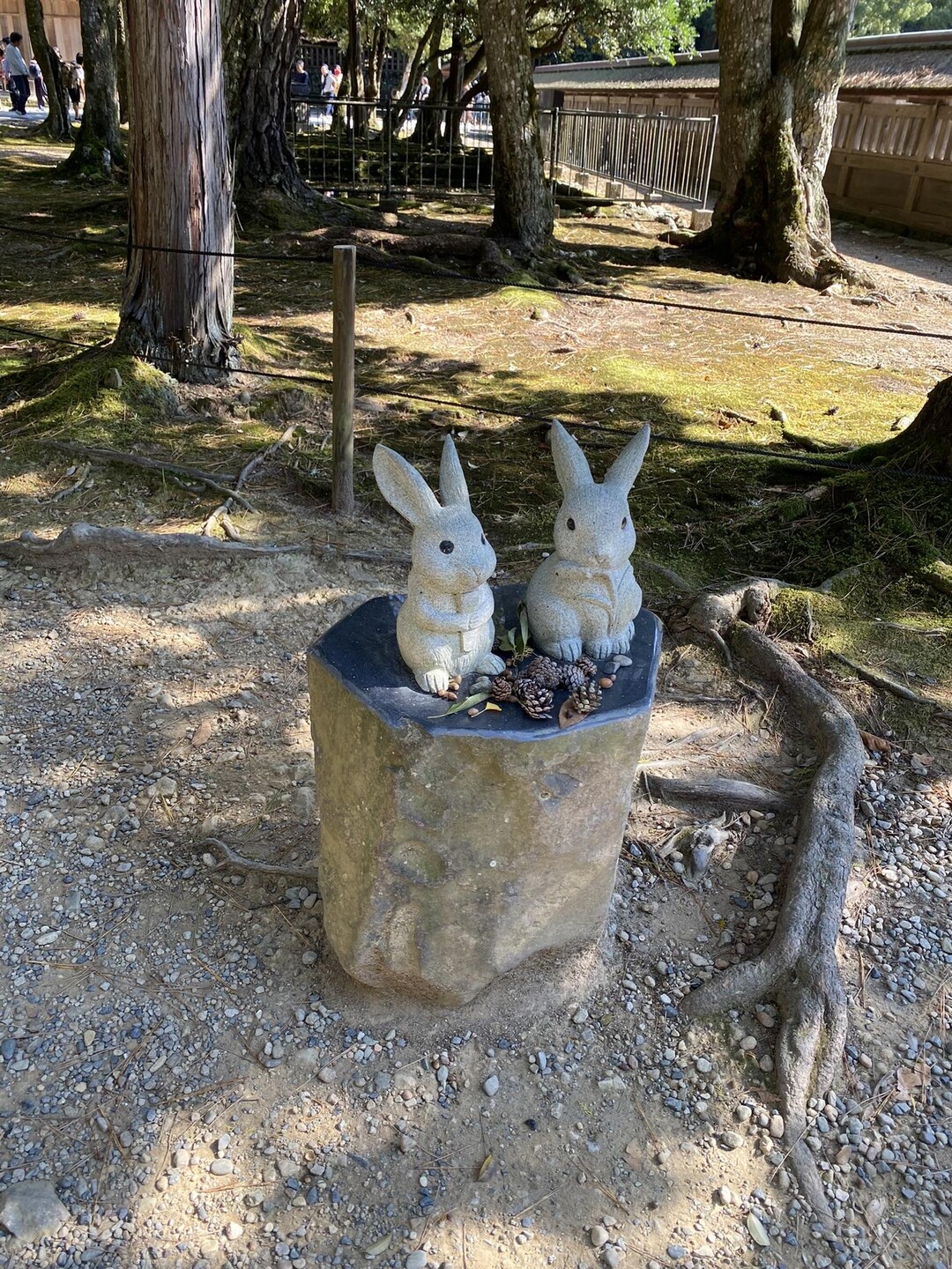 船通山 / mikaさんの船通山・玉峰山の活動データ | YAMAP / ヤマップ