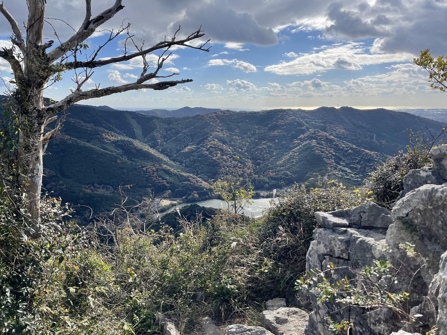 東山・雲谷山・座談山・船形山・神石山 ・霊屋の峰・石巻山 / Ben Abeさんの坊ヶ峰・石巻山・神石山・葦毛湿原の活動データ | YAMAP / ヤマップ