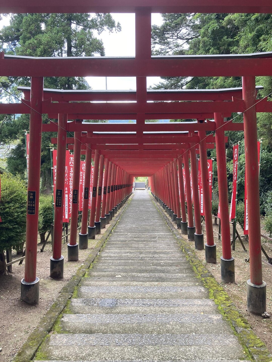 王地山 / cbmdさんの高城山の活動データ | YAMAP / ヤマップ