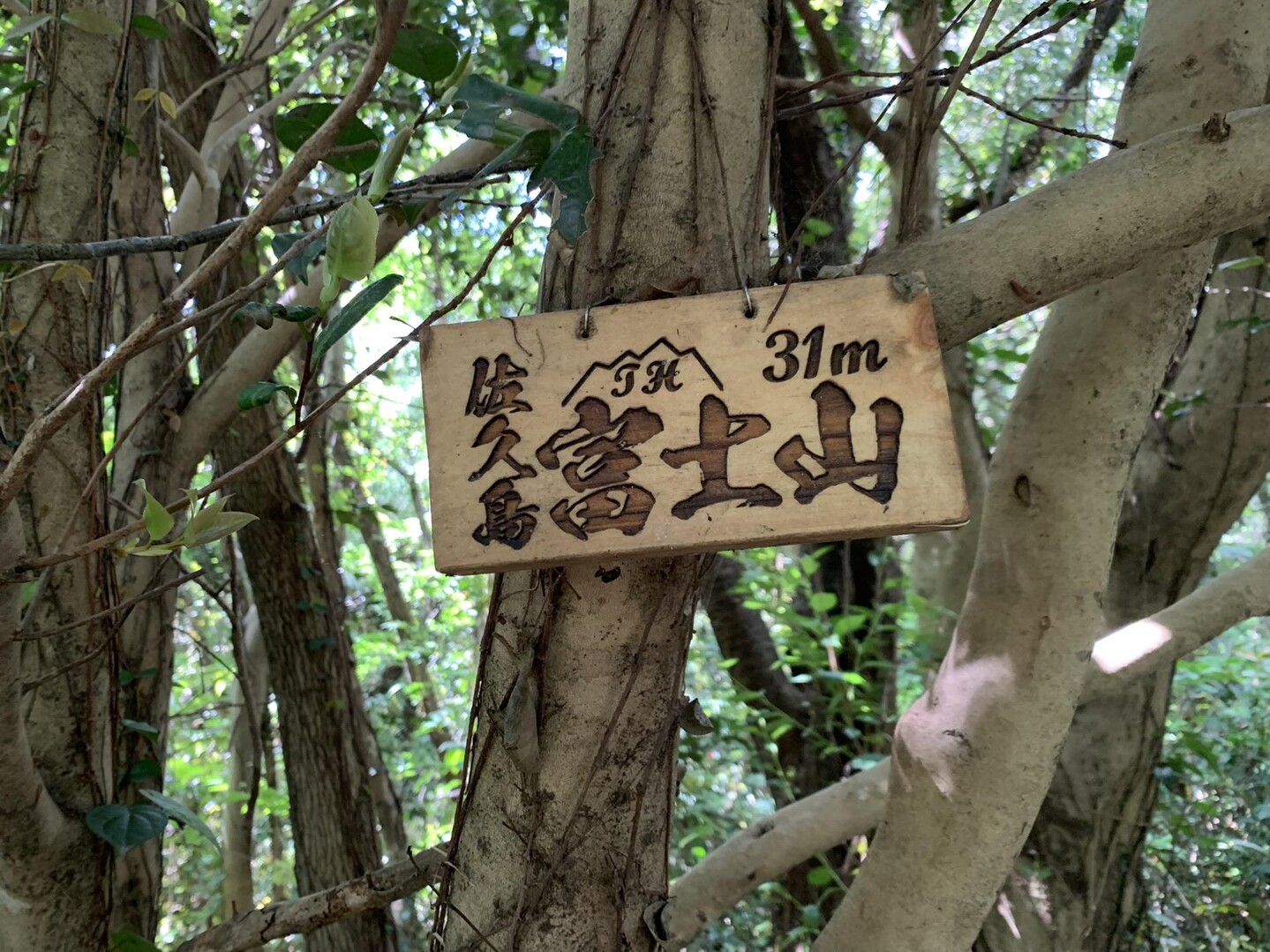 0 to Summit…富士山・秋葉山（佐久島へ） / M_Akkyさんの佐久島の活動データ | YAMAP / ヤマップ