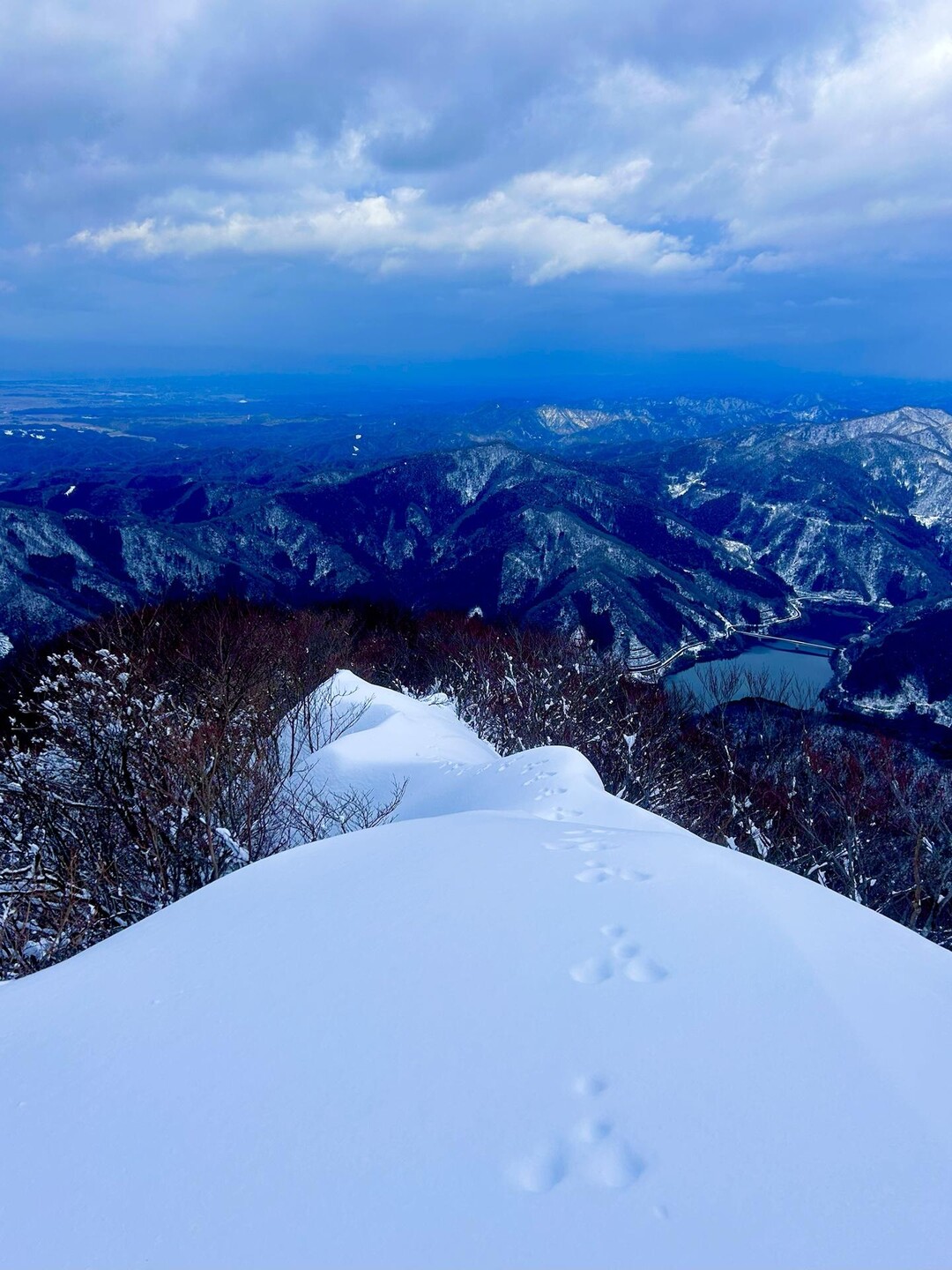 富士写ヶ岳 五彩尾根 / mineさんの富士写ヶ岳・小倉谷山・火燈山の活動データ | YAMAP / ヤマップ