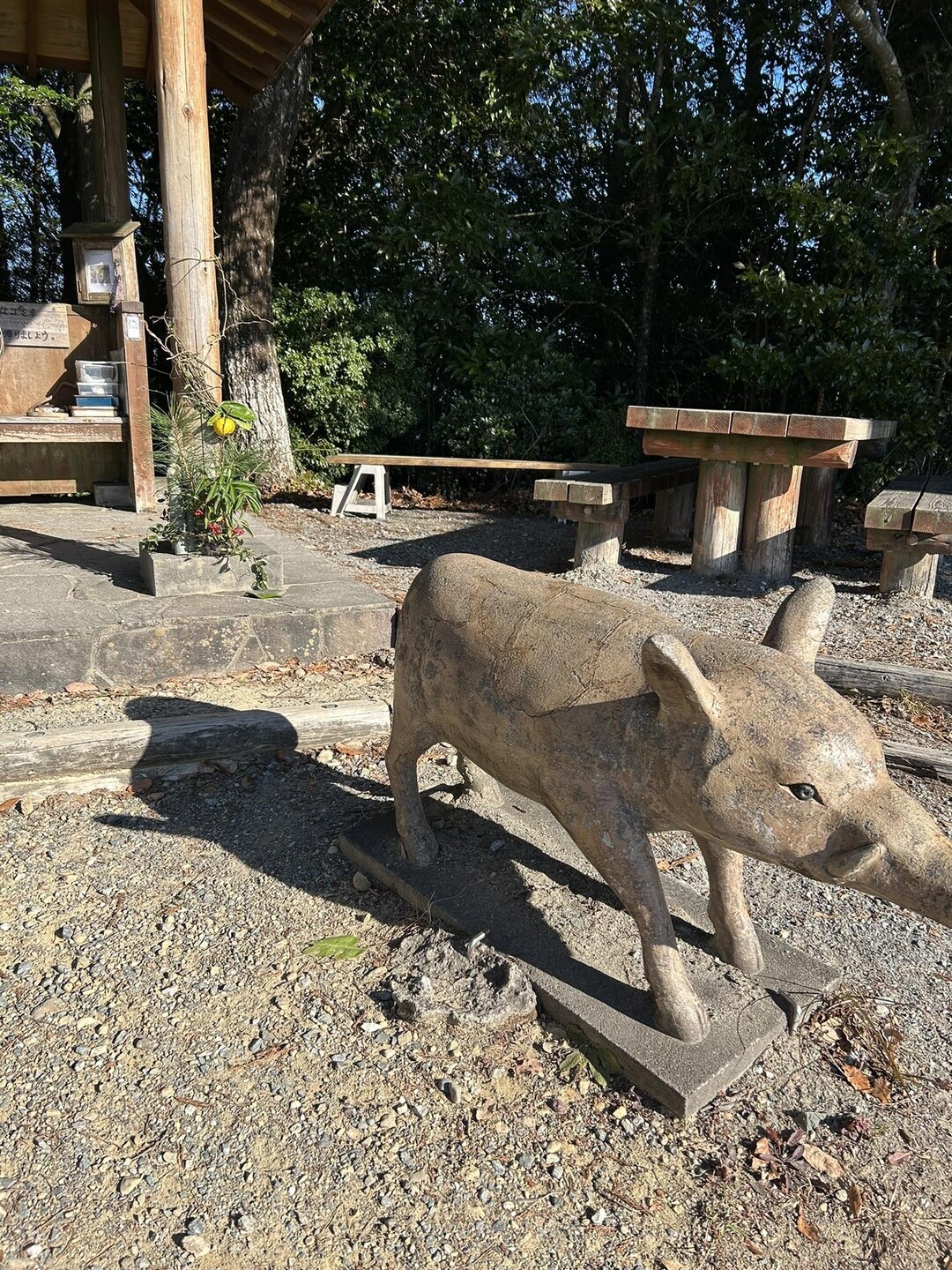 尉ヶ峰 / yy.taroさんの富幕山・尉ヶ峰・竜ヶ石山の活動日記 | YAMAP / ヤマップ