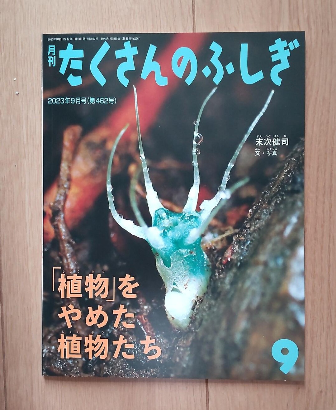 今日の発売日が待ち遠しかったっす😤 ... / ikoanさんのモーメント | YAMAP / ヤマップ