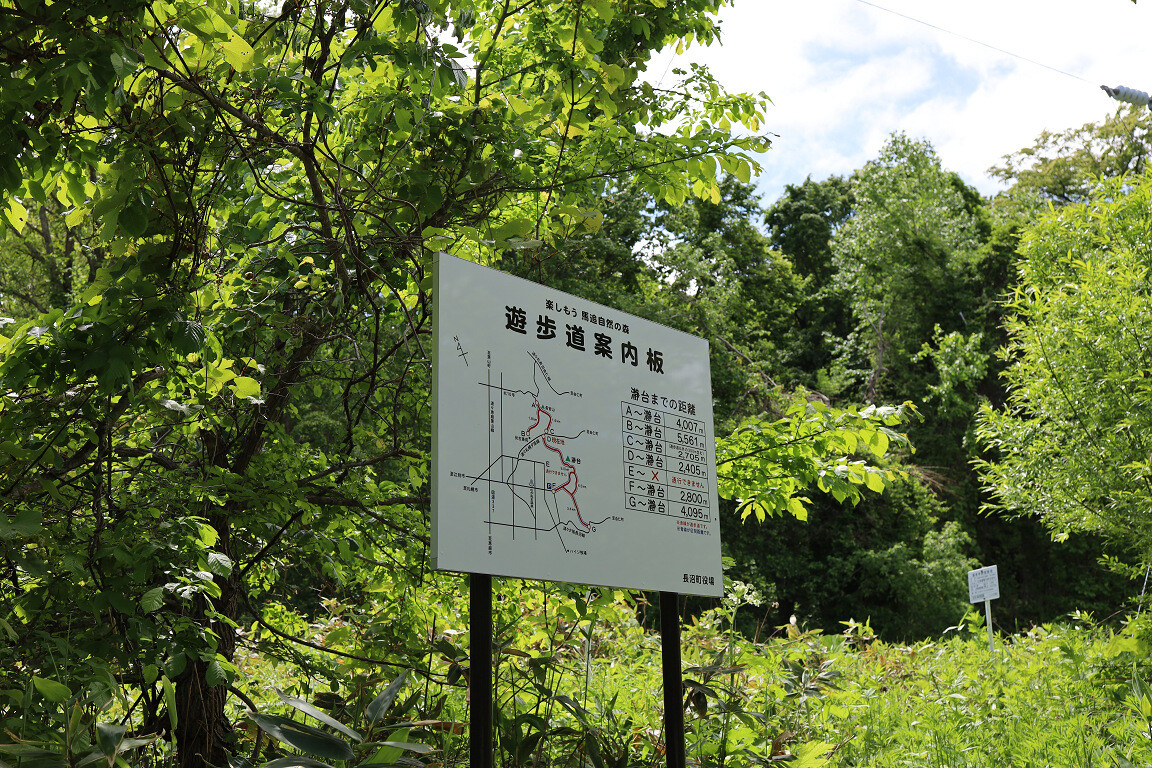 馬追自然の森遊歩道 D～瀞台 Yaaman67さんの馬追丘陵・長官山・瀞台（馬追山）の活動データ Yamap ヤマップ