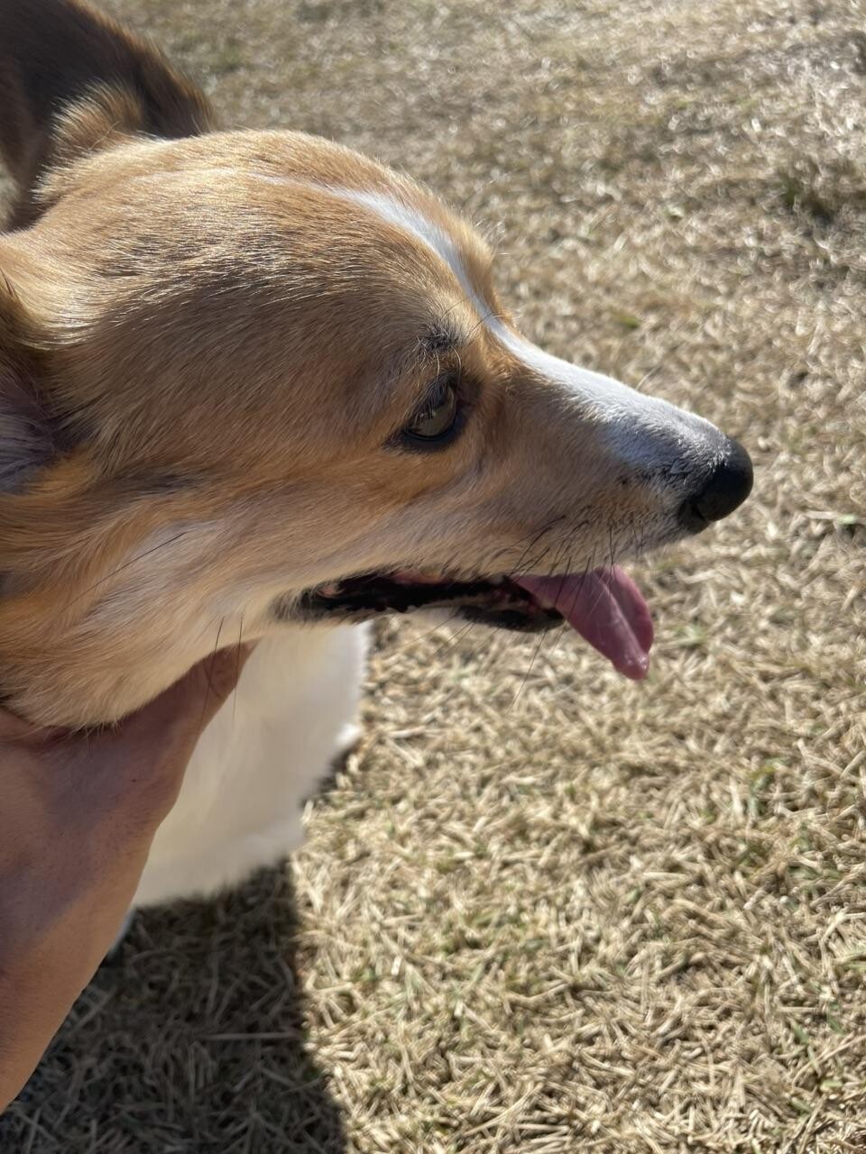 MASAKIのページ | YAMAP / ヤマップ