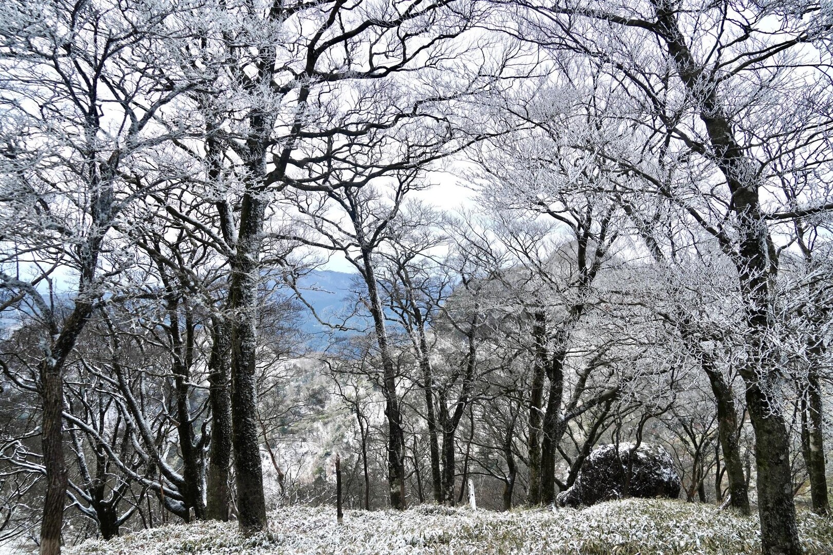 英彦山の冬もきっともう終わり。 期待はし... / hirajunさんのモーメント | YAMAP / ヤマップ