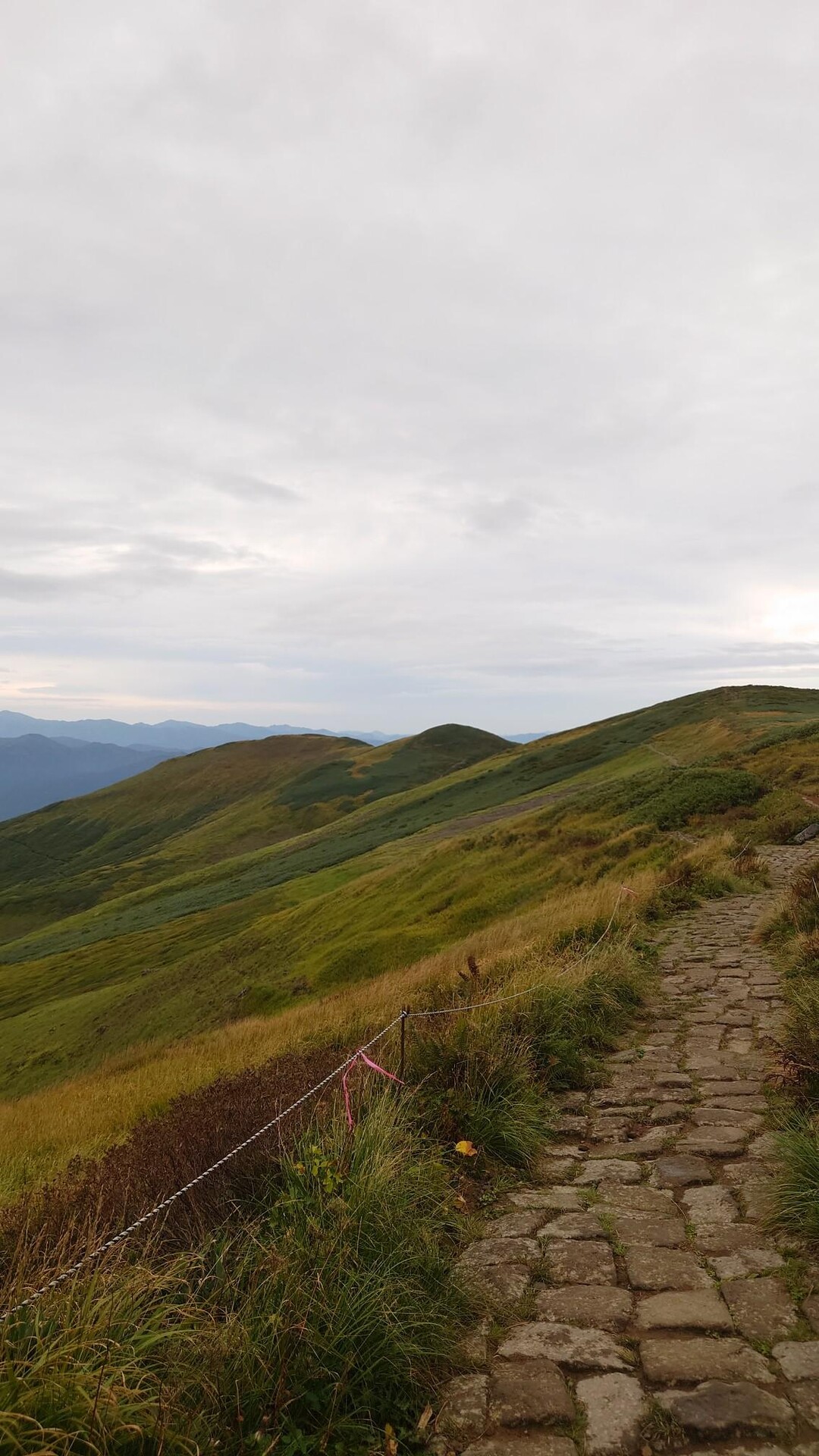 月山・柴灯森 / ☆WHITE FOX彡さんの月山の活動データ | YAMAP / ヤマップ