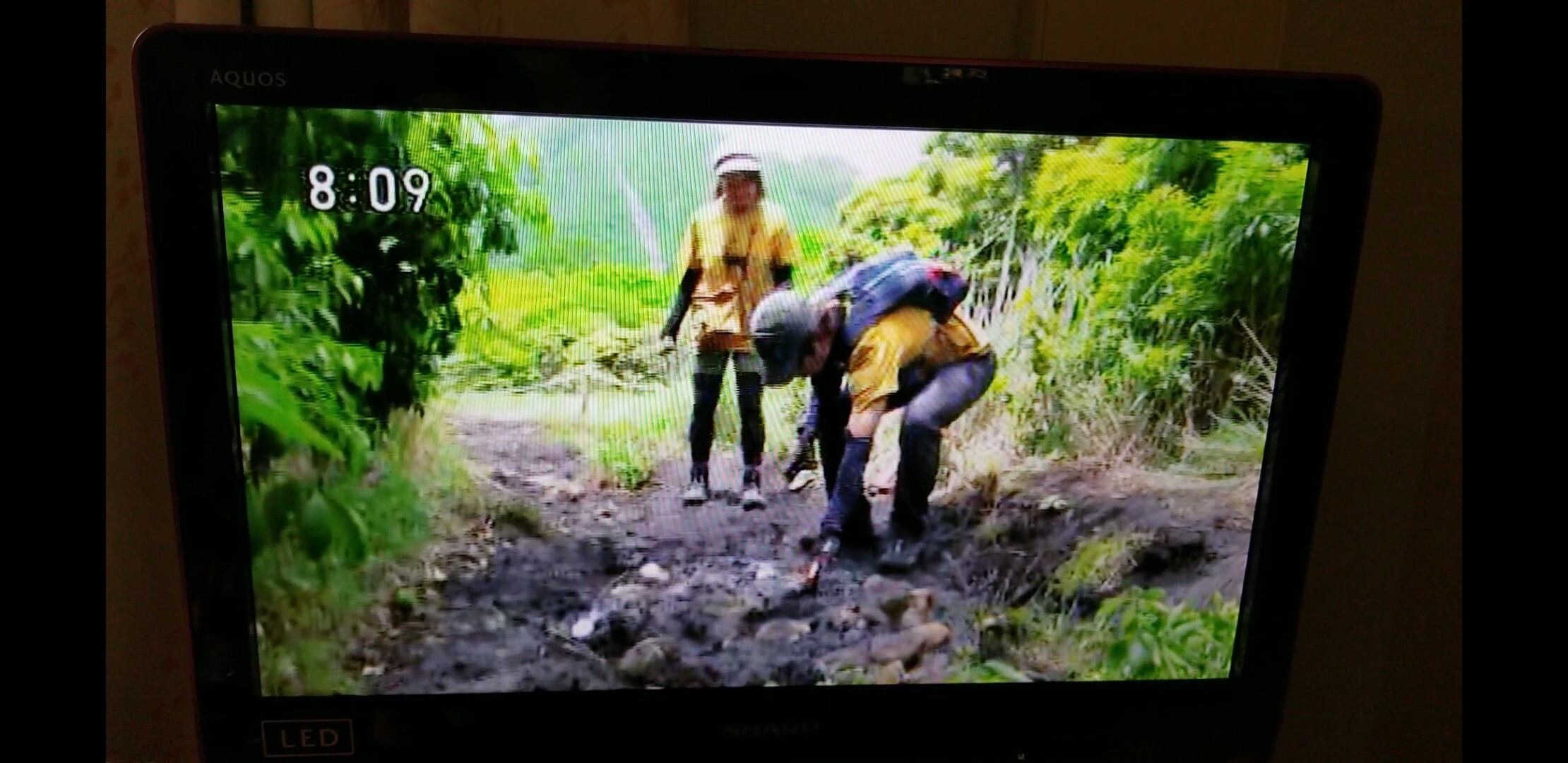 今朝のNHK「花の峰 やさしく ～大... / しょうこさんのモーメント | YAMAP / ヤマップ