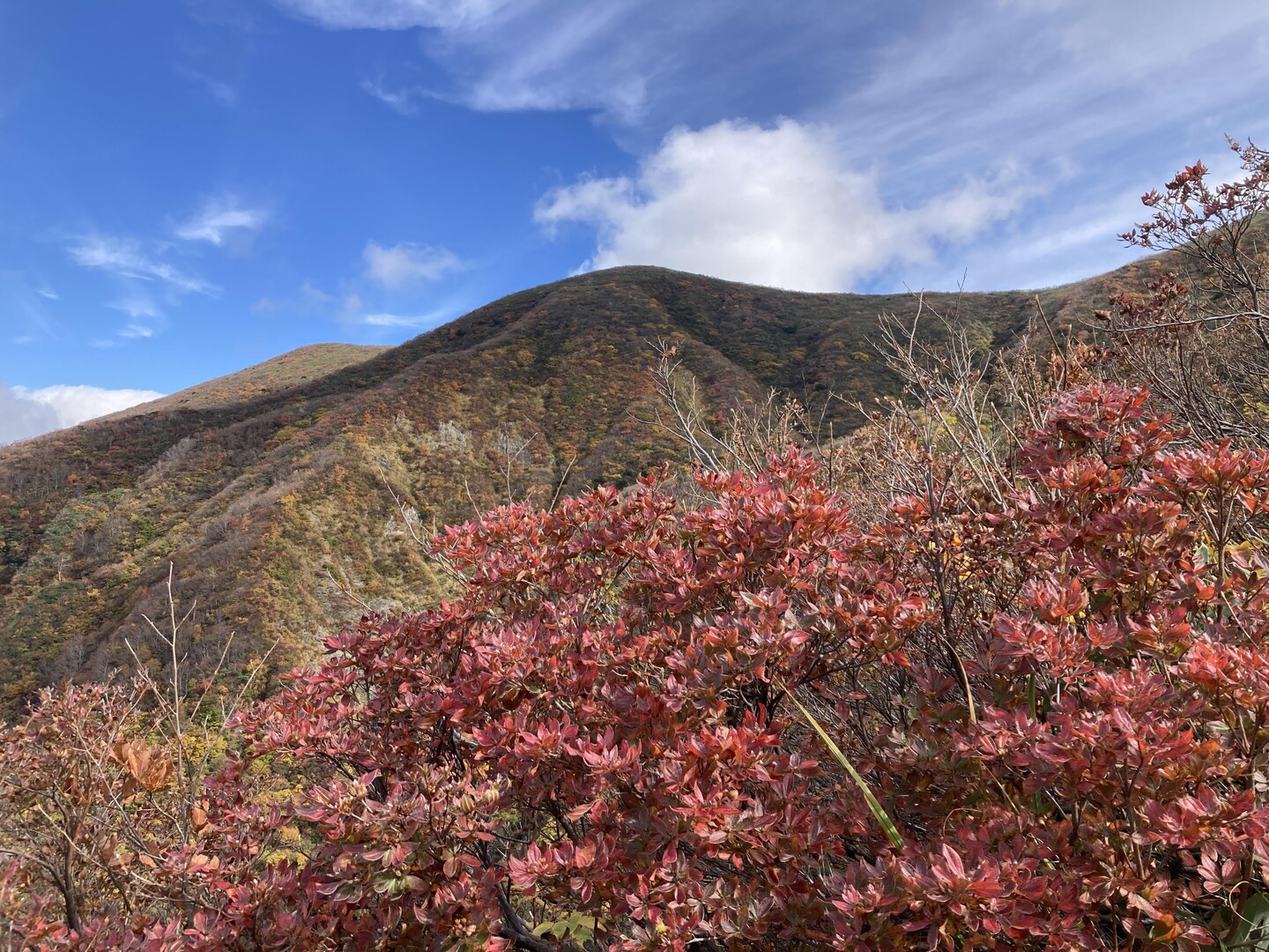 粟が岳（下田から） / hi-chanさんの粟ヶ岳・權ノ神岳・宝蔵山の活動データ | YAMAP / ヤマップ