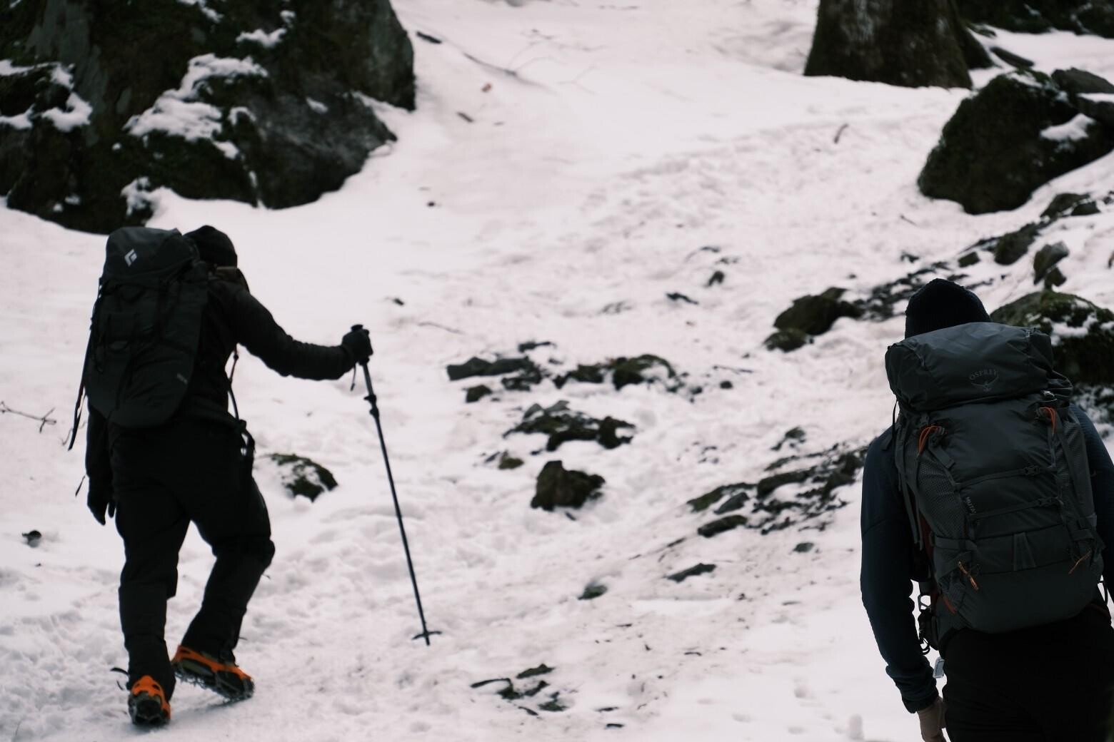 明神平・前山 / goroさんの桧塚奥峰・明神岳・薊岳の活動データ | YAMAP / ヤマップ