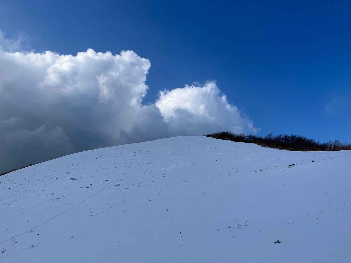 登り初め・寒風山・姫ヶ岳 / sada 23さんの男鹿半島の活動データ | YAMAP / ヤマップ