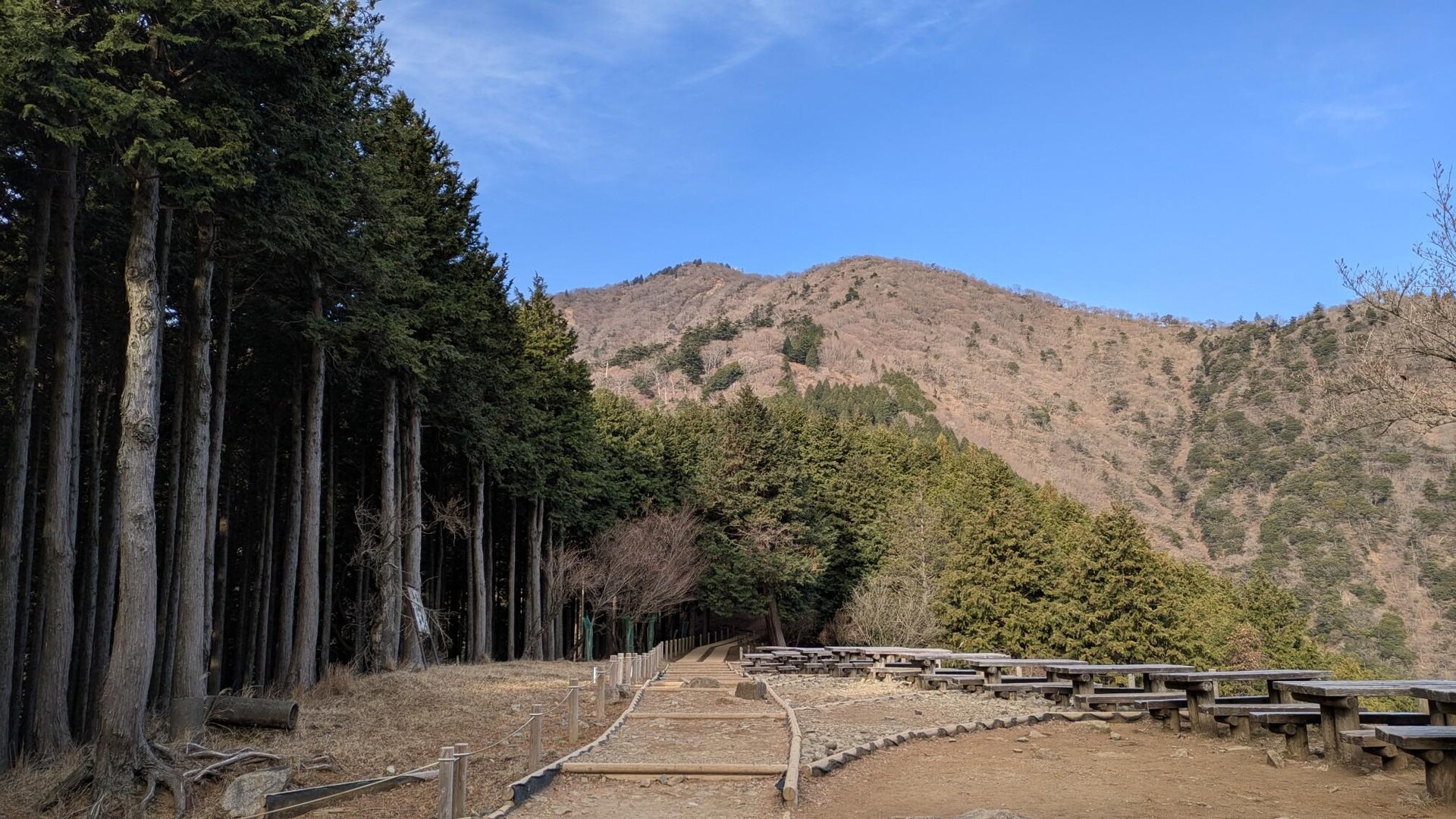 大山 / Ke-iさんの大山の活動データ | YAMAP / ヤマップ