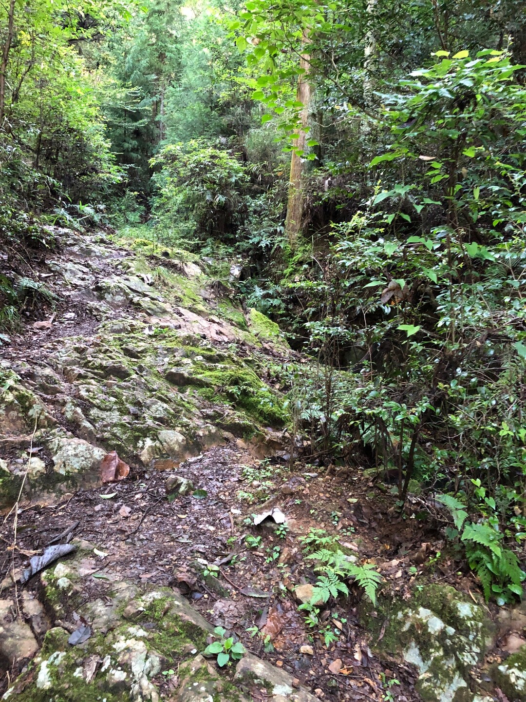 worryさんの投稿したフィールドメモ | YAMAP / ヤマップ