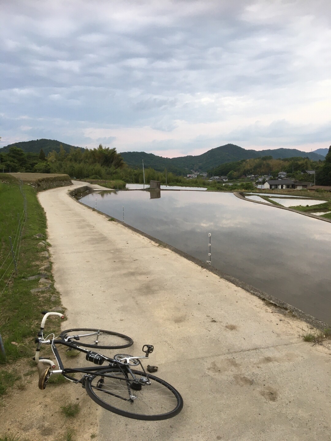 久しぶり ️苗代-2022-05-15 / shuさんの鉢巻山・烏帽子岩山・灰ヶ峰の活動データ | YAMAP / ヤマップ