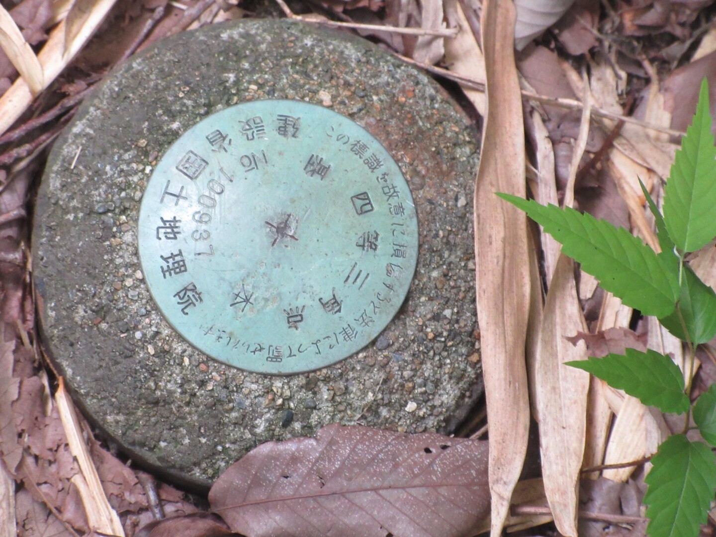 いなり山・島熊山・待兼山 / kazzさんの北摂里山トレイル（伊丹市・宝塚市・川西市・猪名川町エリア）の活動データ | YAMAP / ヤマップ