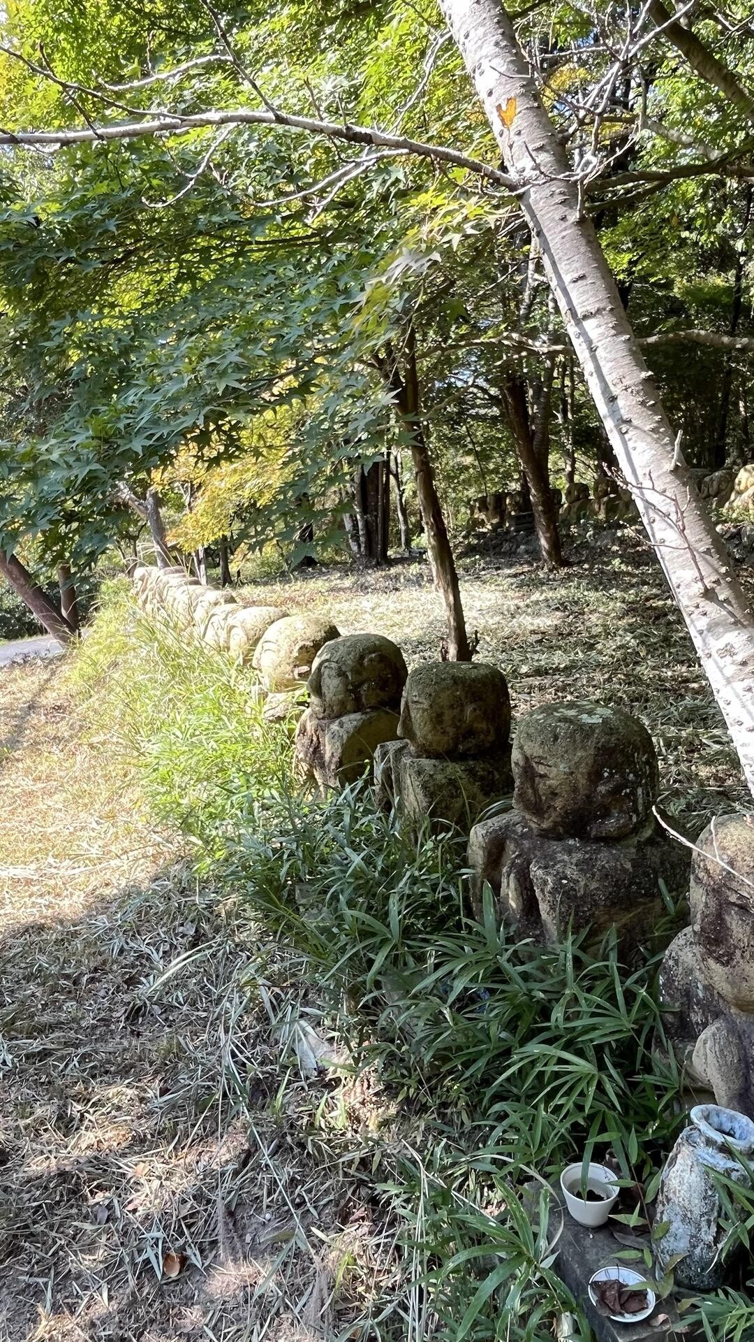 善防山・笠松山 / pon-pokoさんの加西アルプス・笠松山・善防山の活動データ | YAMAP / ヤマップ