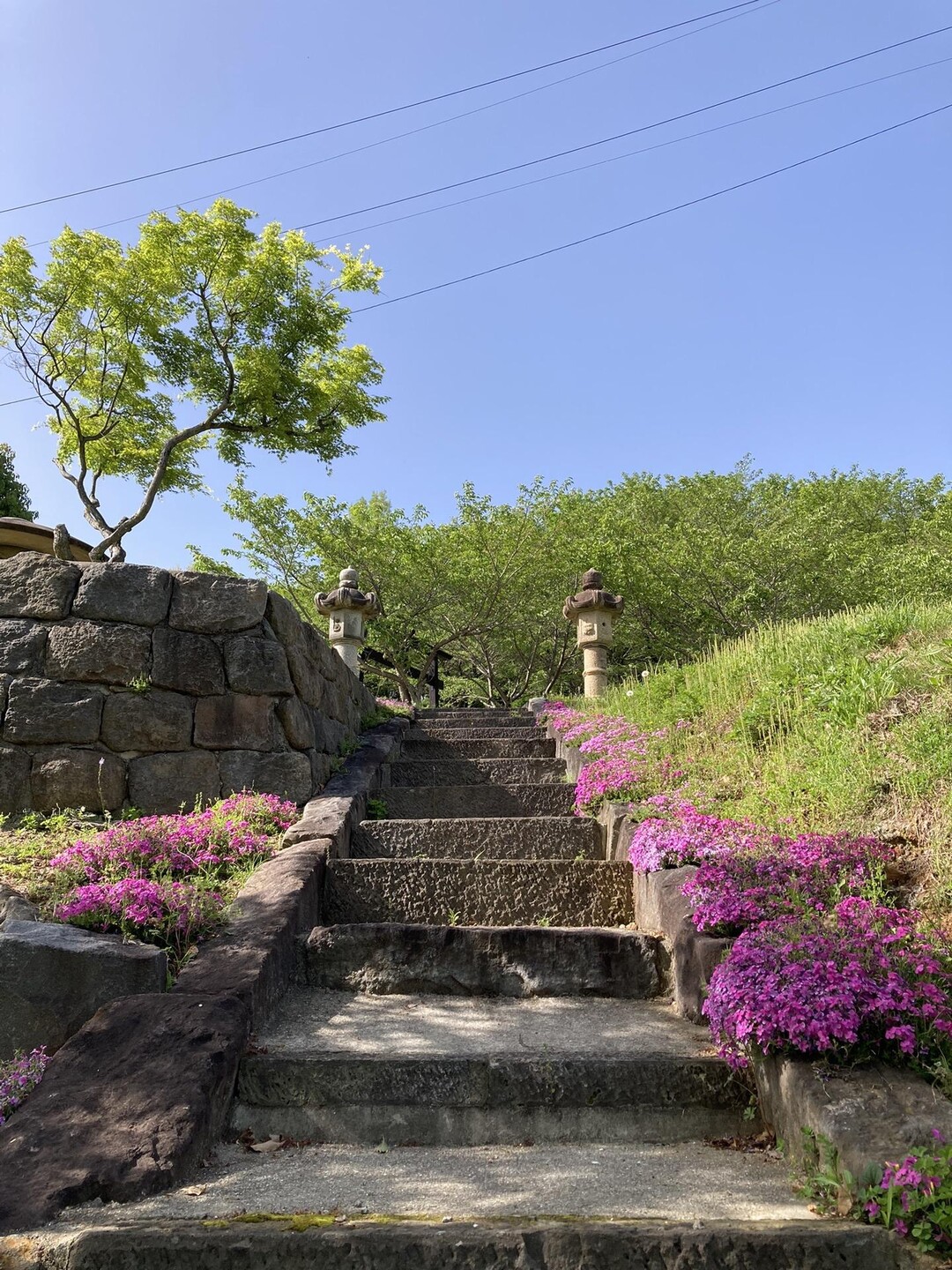 Again【横山】 / かっきーさんの木葉山の活動データ | YAMAP / ヤマップ