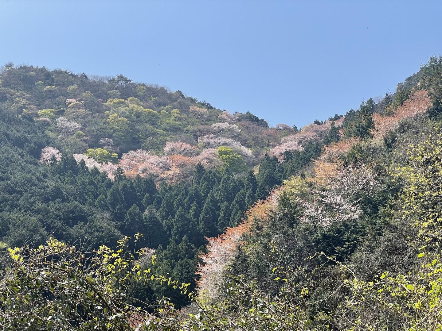 〈下見〉越生アルプス・黒山BS〜黒山三滝〜関八州見晴台〜顔振峠周回 / みいみさんの関八州見晴台の活動データ | YAMAP / ヤマップ