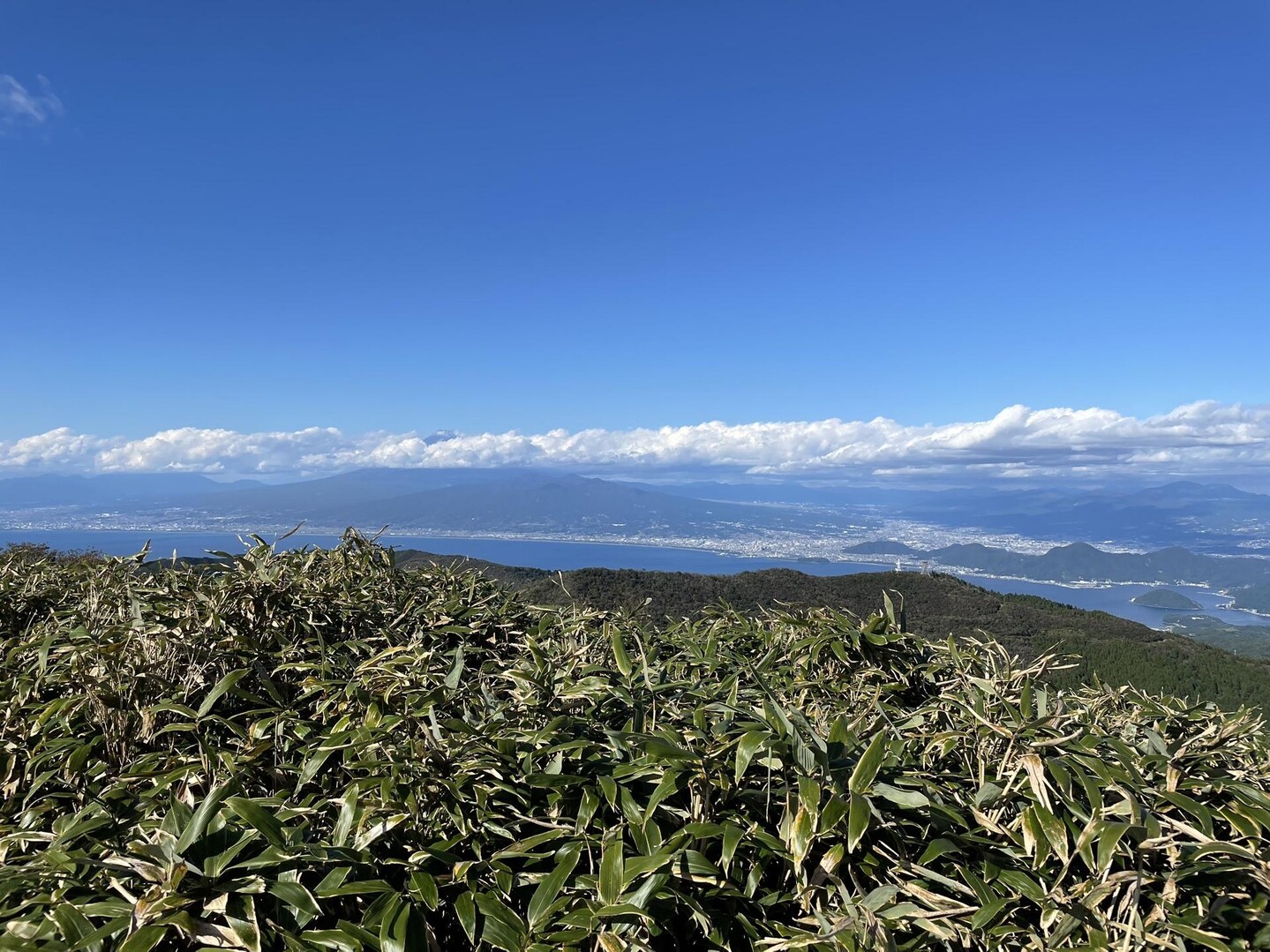 ITJ試走 / Pさんの天城山・鉢ノ山・三筋山の活動データ | YAMAP / ヤマップ