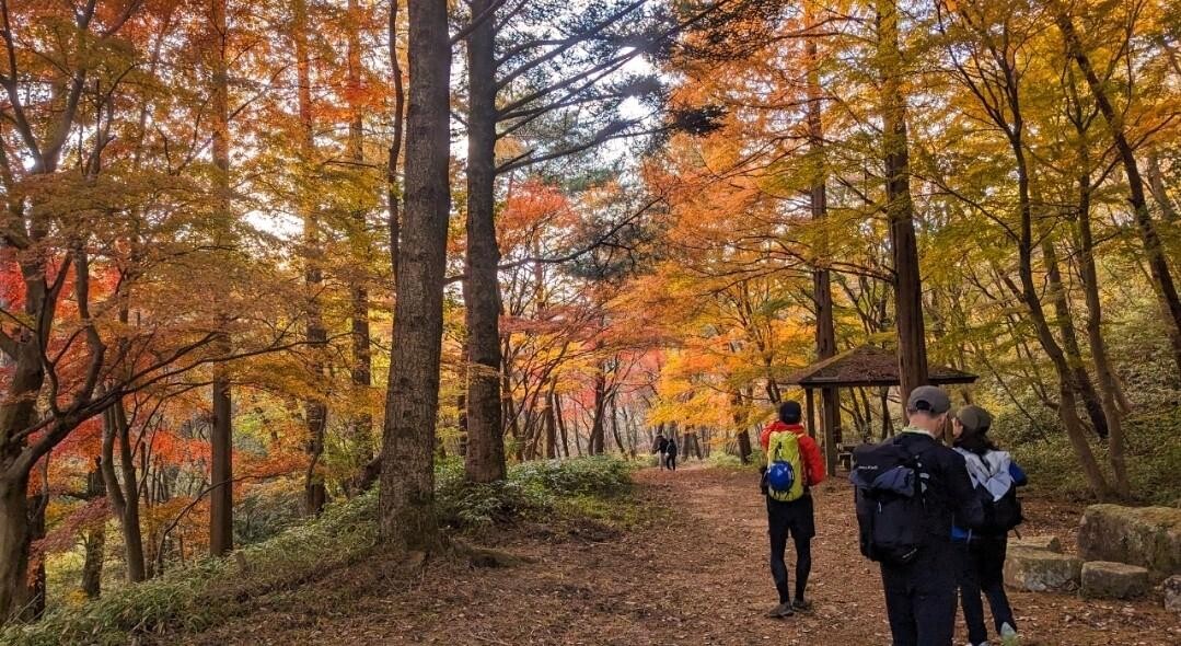 2023.11/23 シェール道 私が六... / YAMA-Gさんのモーメント | YAMAP / ヤマップ